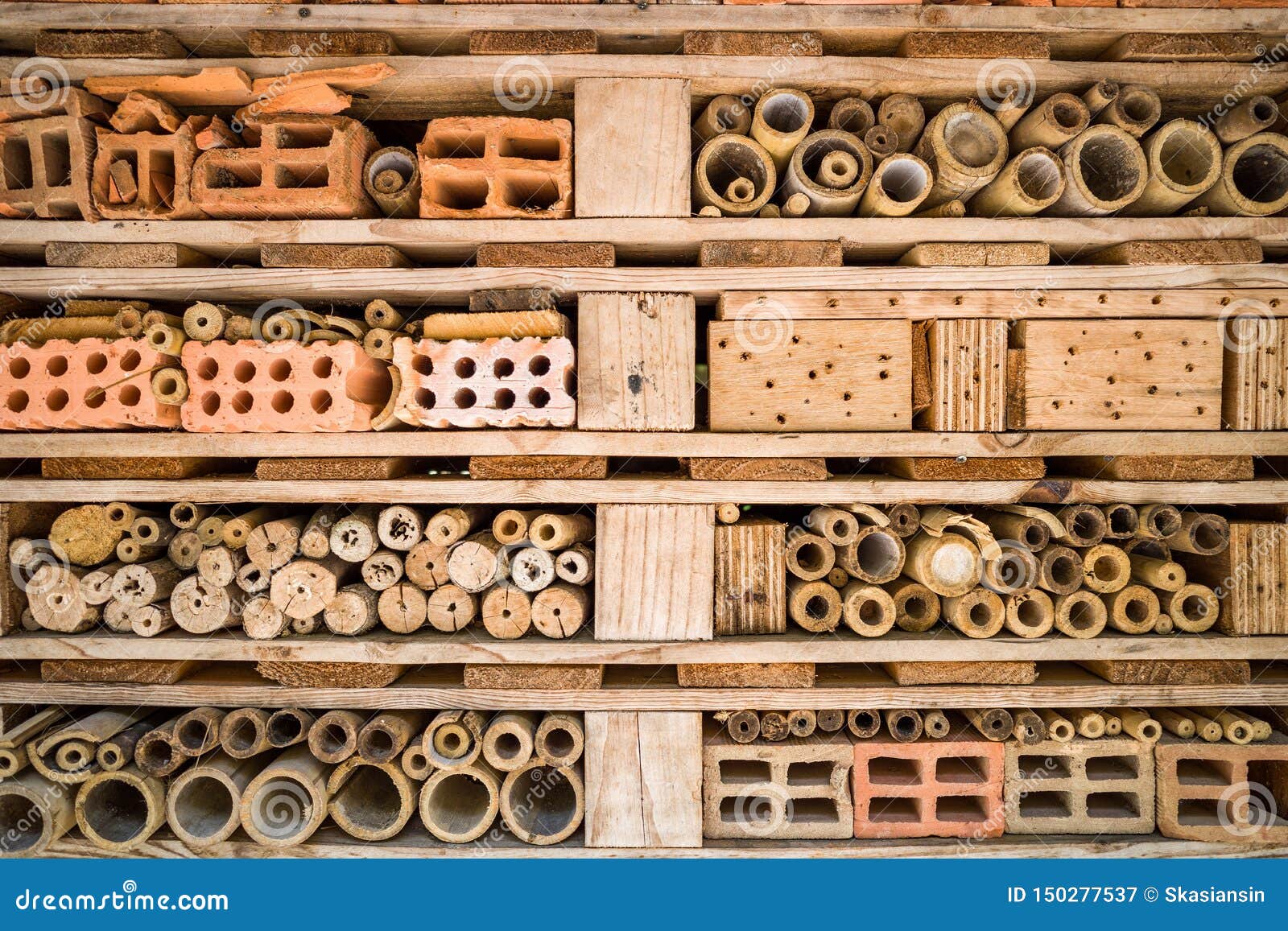 Small House of Insect and Bug Stock Image - Image of shelf, home: 150277537