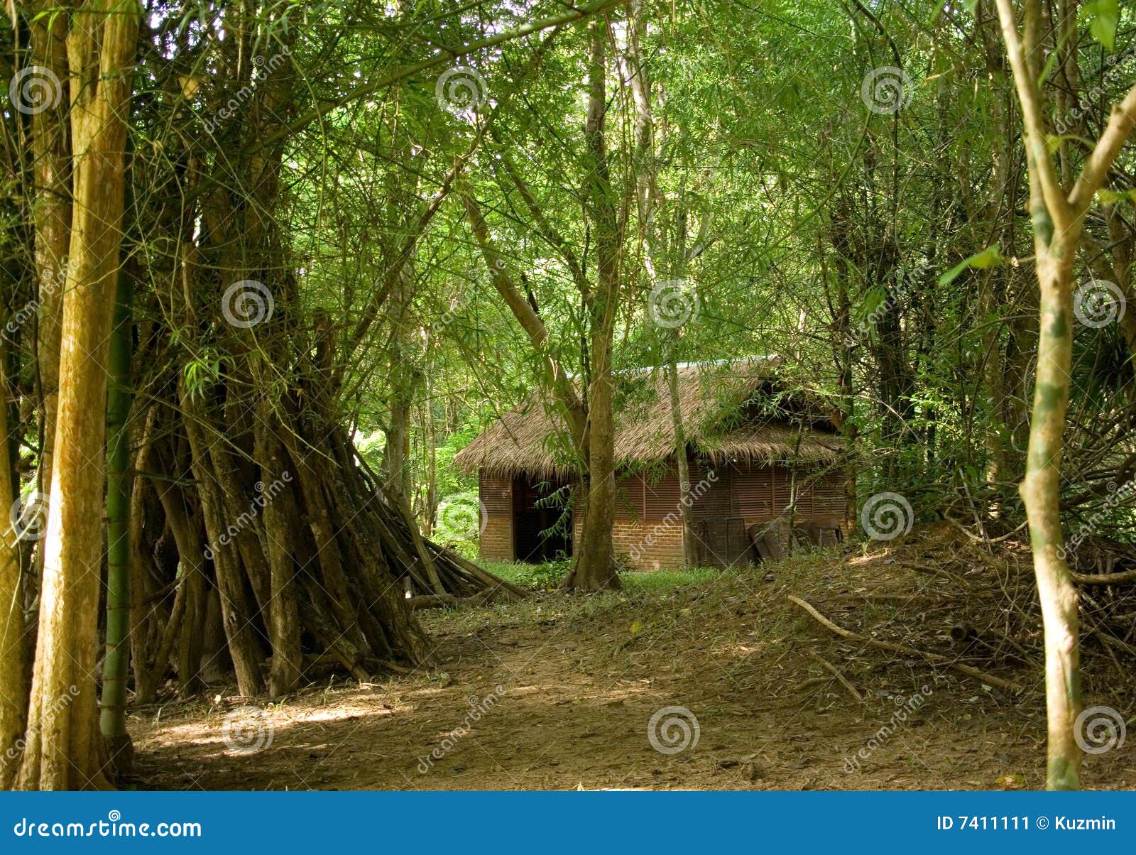 Small house in jungle stock image. Image of tree, greens - 7411111