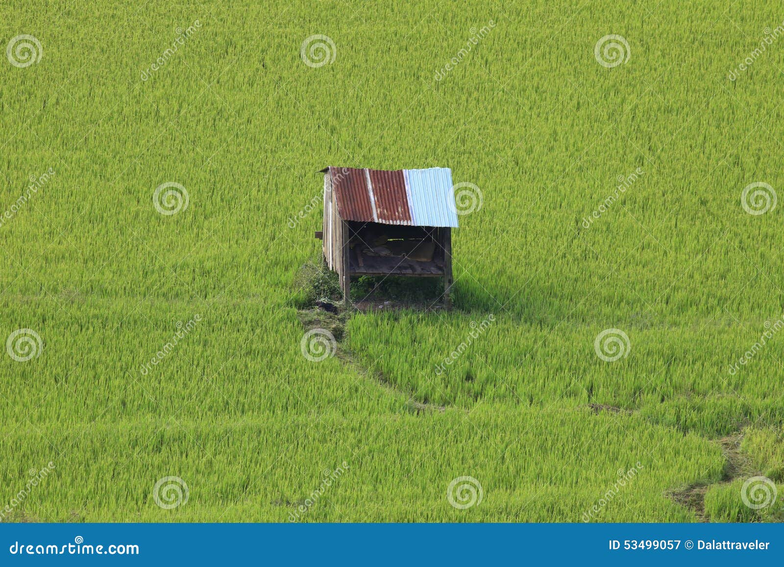 Small house stock image. Image of field, vietnam, tree - 53499057