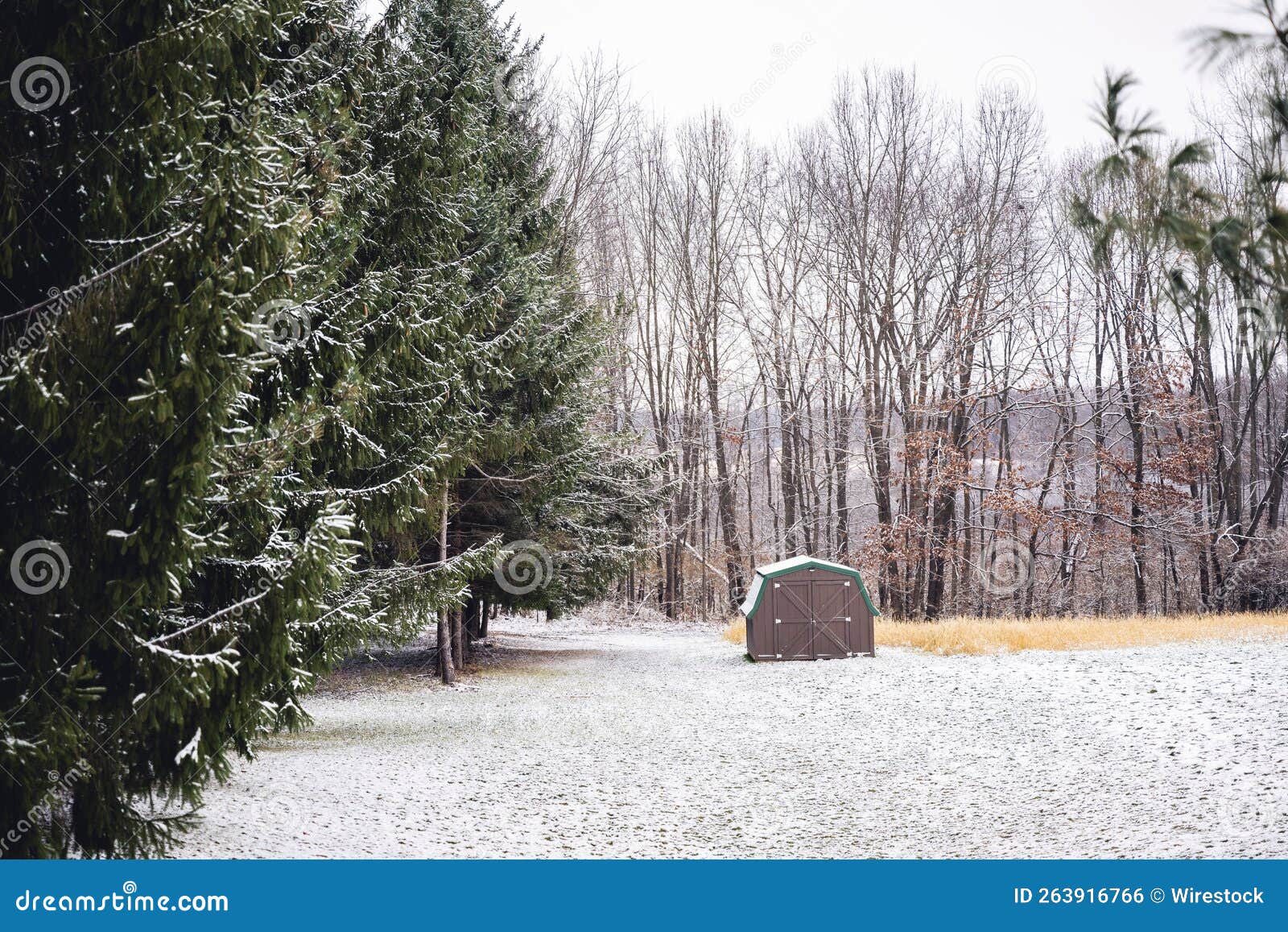 Small House in a Snowy Field Surrounded by Trees Stock Photo - Image of ...
