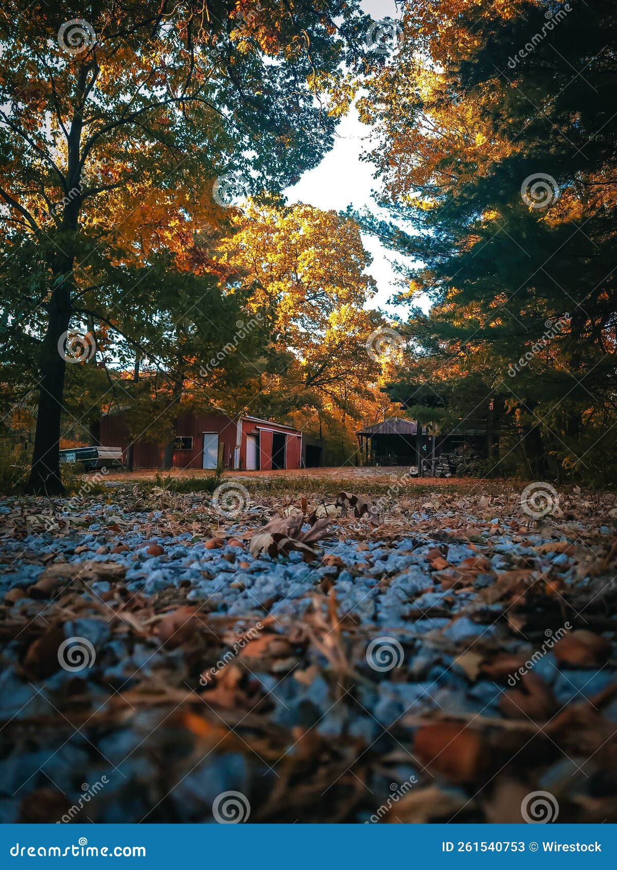 Small House Surrounded by Trees and Grasses. Stock Image - Image of ...