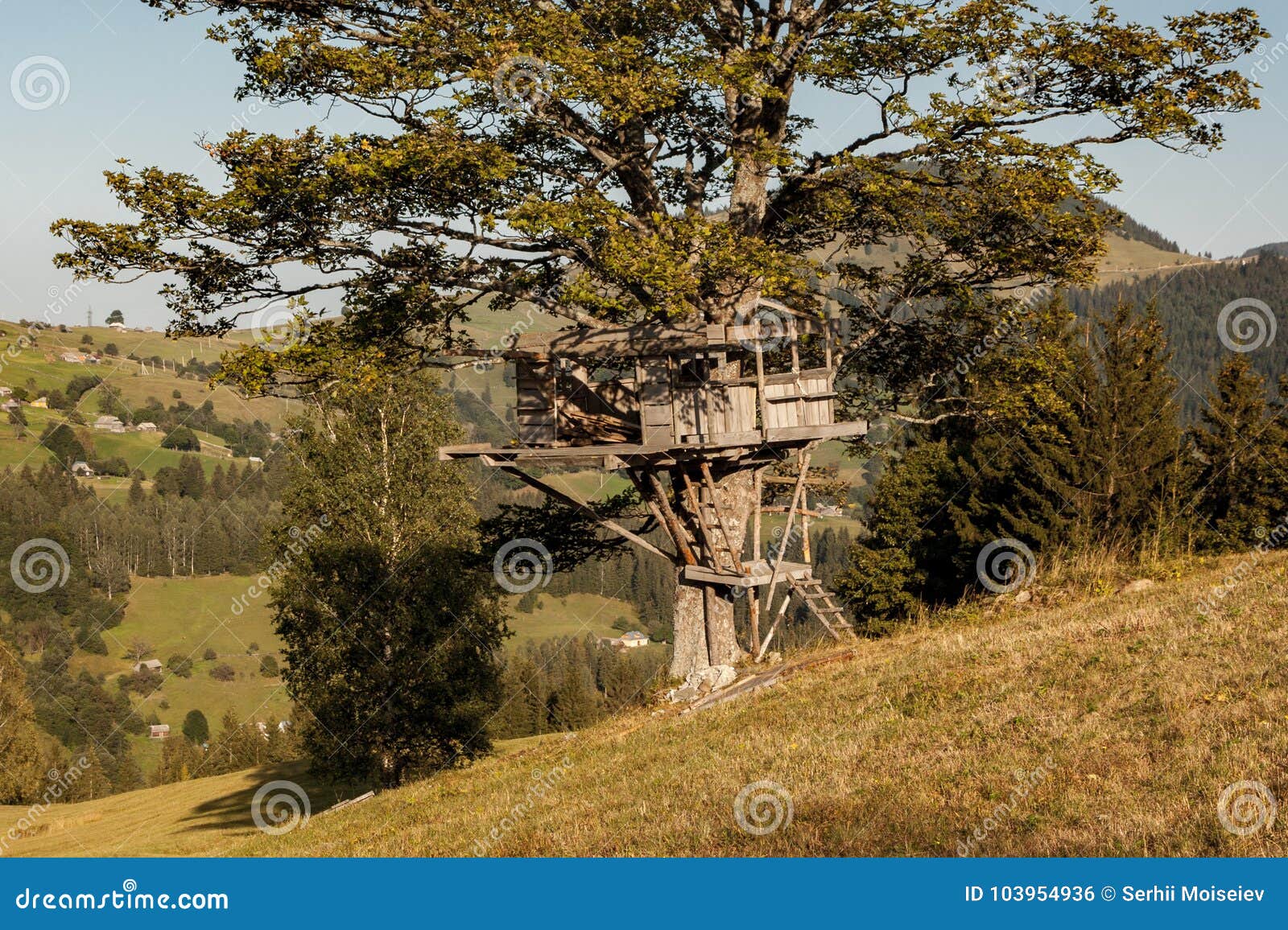 Small tree house stock photo. Image of hill, construction - 103954936