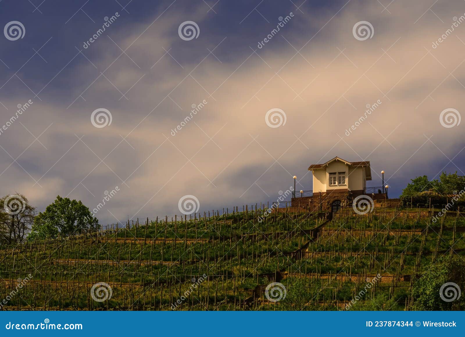 Small House on a Hill on a Vineyard Stock Photo - Image of architecture ...