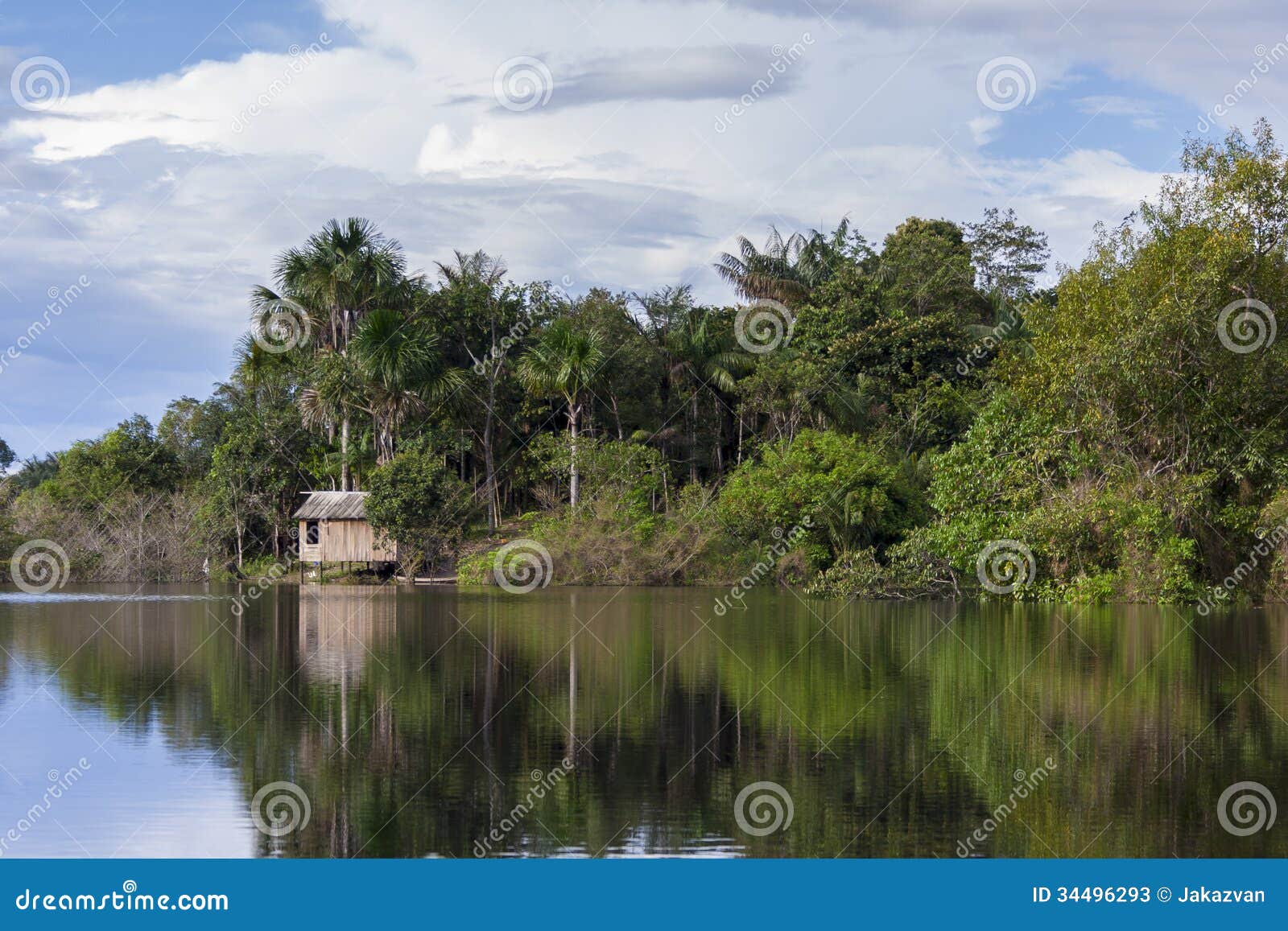 Small Hut on the Amazon River Stock Image - Image of bush, beach: 34496293