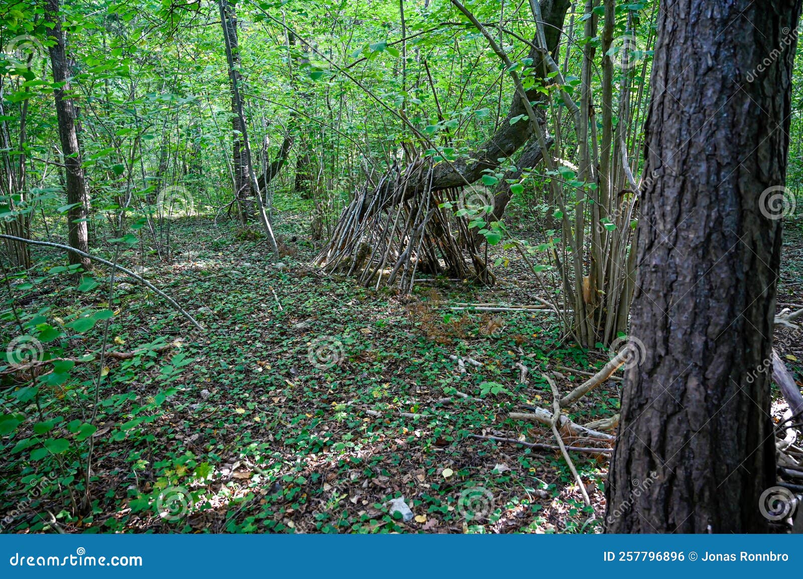 Small Hut Built of Sticks for Kids Stock Photo - Image of natural ...
