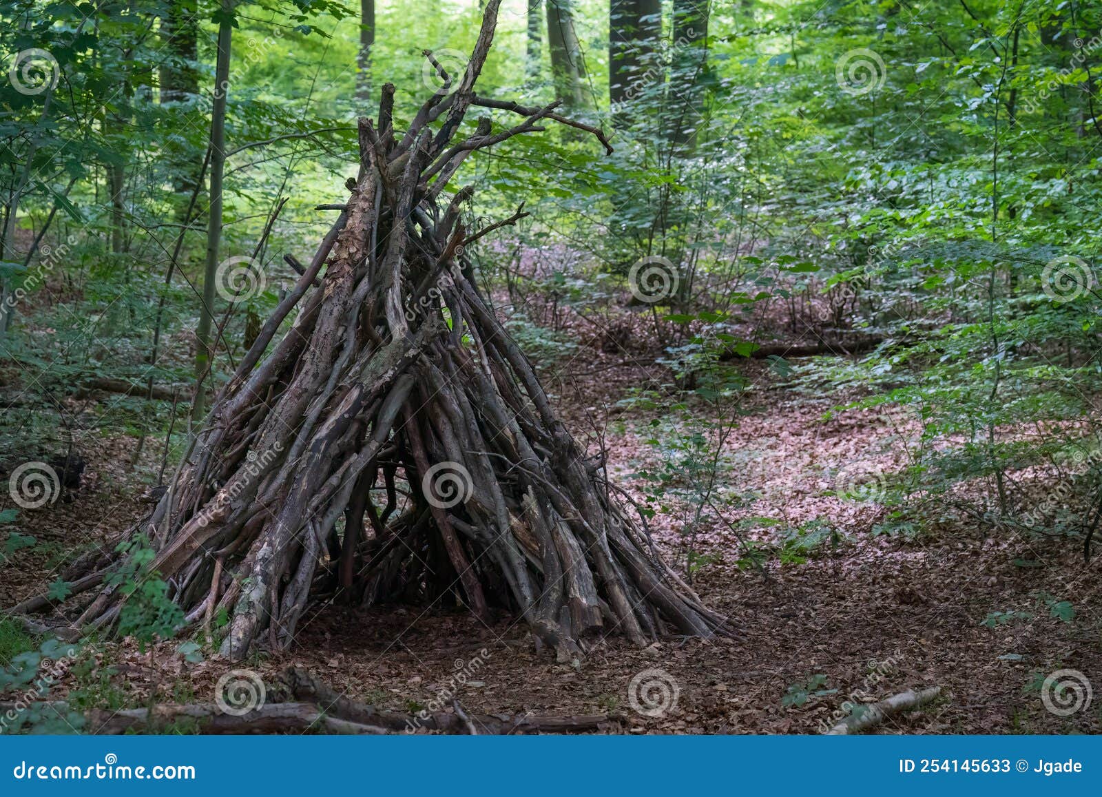 Small hut in the forest stock image. Image of environment - 254145633