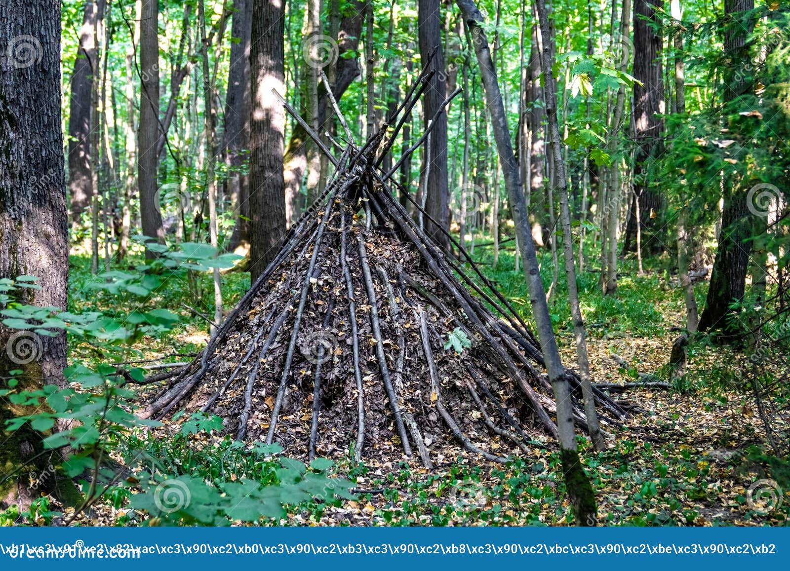 Small Hut in the Forest Made Out of Branches by Playing Children Stock ...