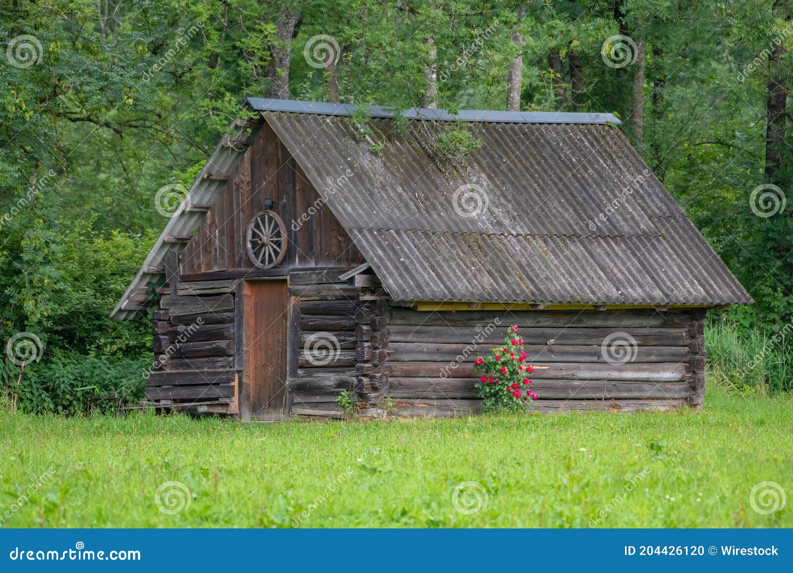 Small hut in the forest stock photo. Image of village - 204426120