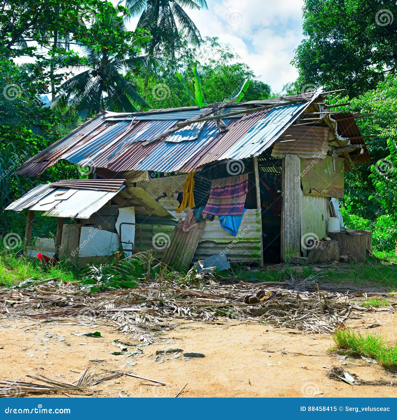 Small hut in jungle stock image. Image of penury, landscape - 88458415