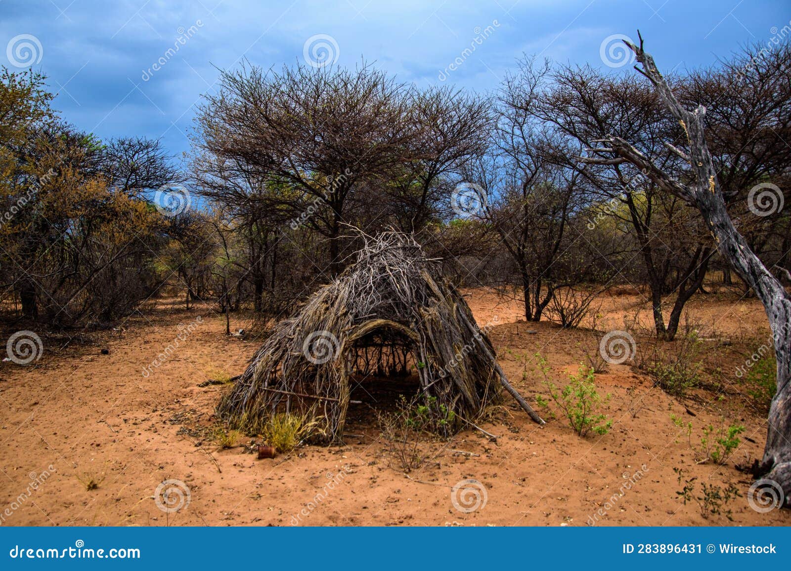 Small Hut Made of Tree Branches Standing in a Woodland Stock Image ...