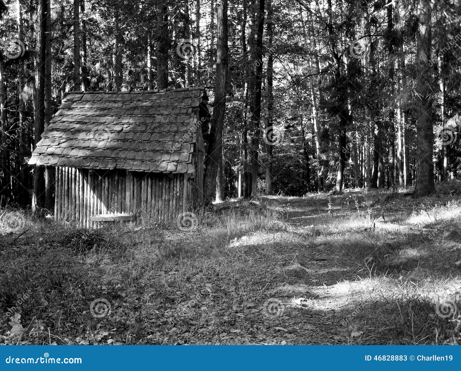 Small Hut in the Middle of Forest Stock Image - Image of forest, cabin ...