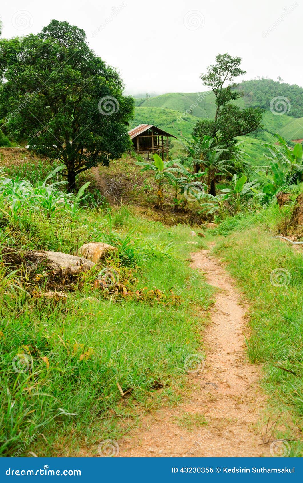 Small Hut on Mountain, Thailand Stock Photo - Image of farm, aerial ...