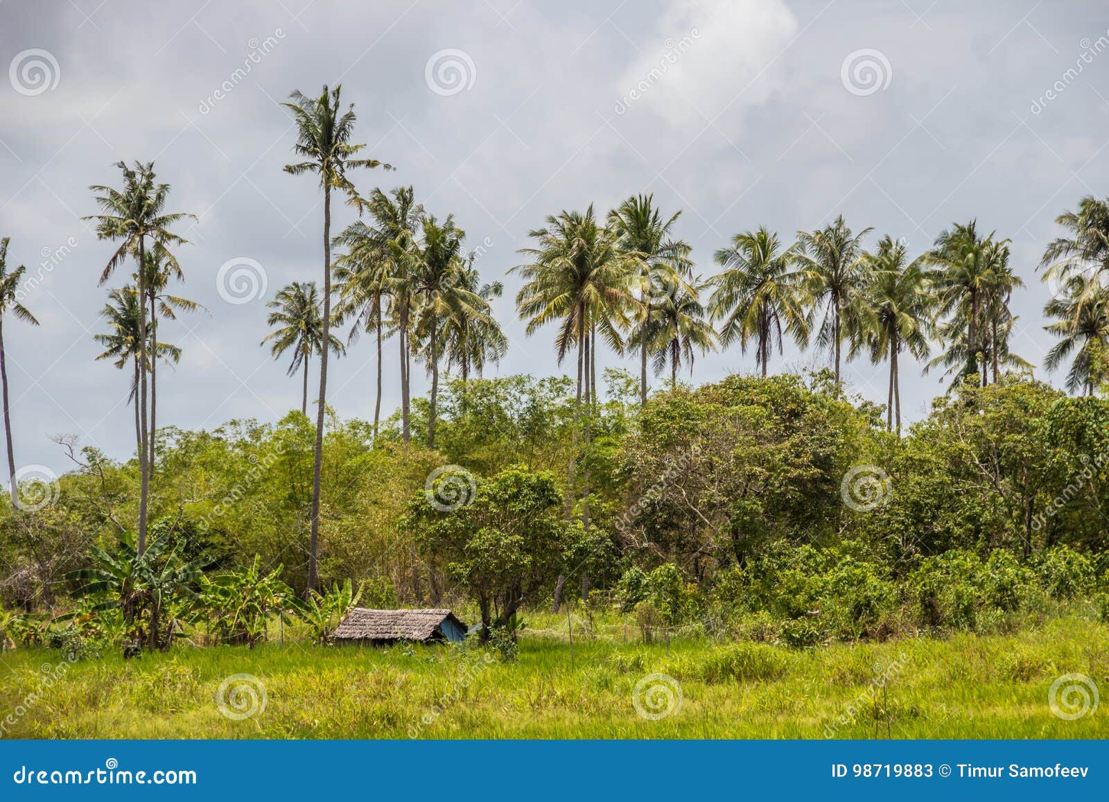 The Small Hut from Nature Materials Building in Green Environment Stock ...