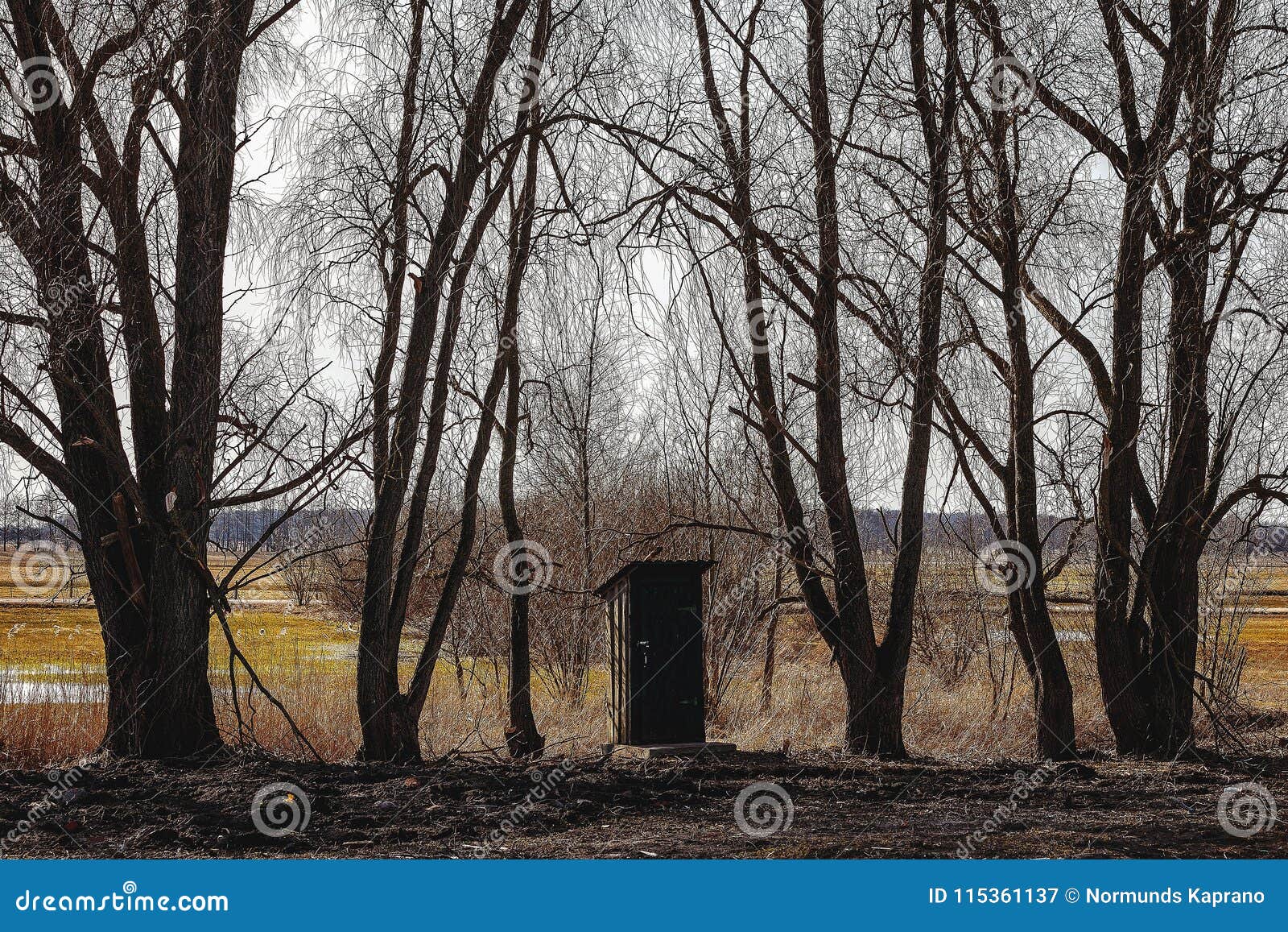 Small hut between trees stock image. Image of roof, outhouse - 115361137