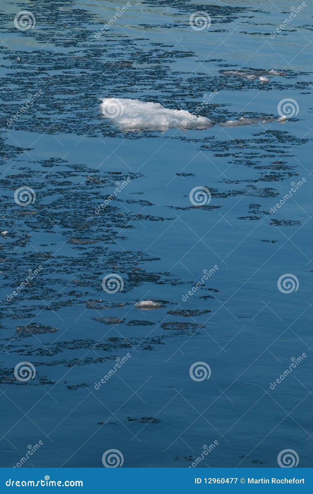 Small iceberg stock image. Image of environment, iceberg - 12960477