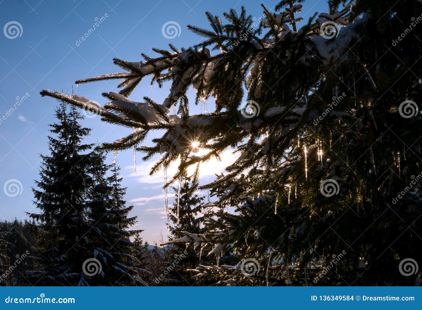 Small Icicles with Sun Shining Stock Photo - Image of space, winter ...