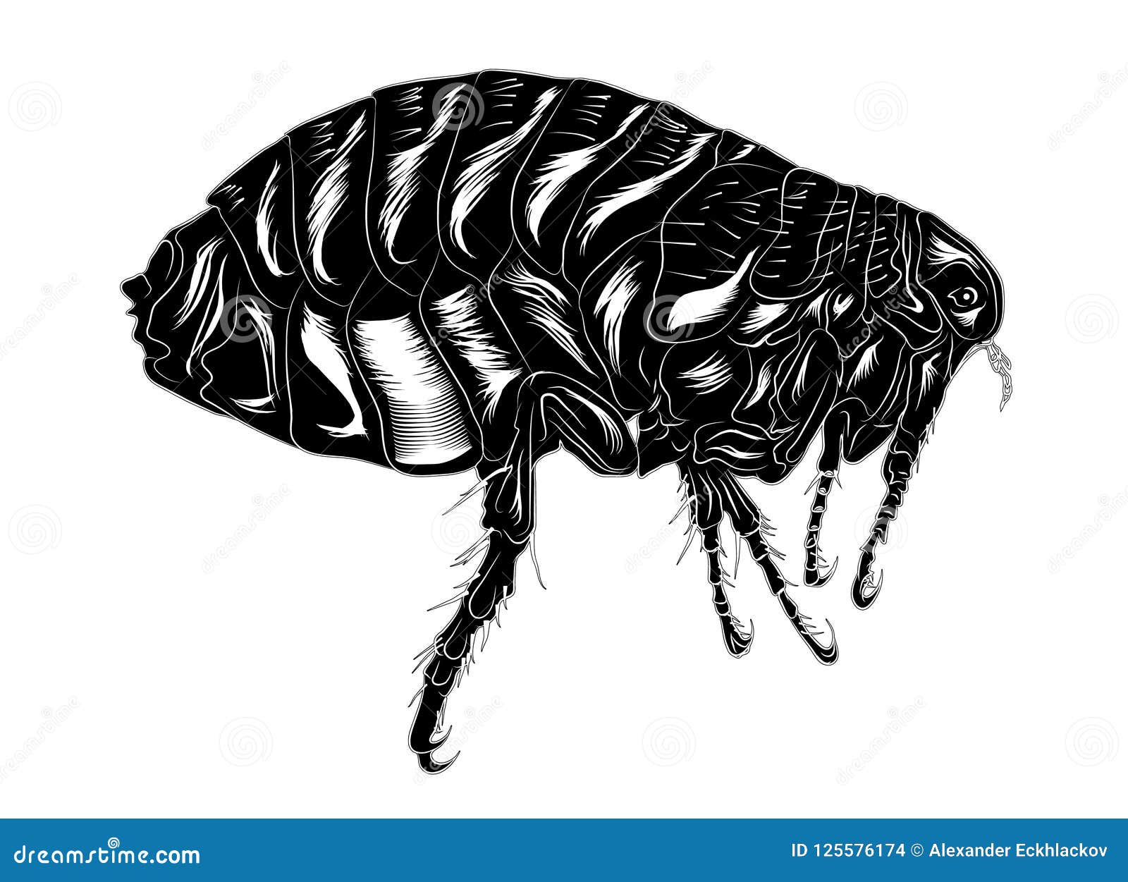 Vermin Cartoons, Illustrations & Vector Stock Images - 4175 Pictures to ...