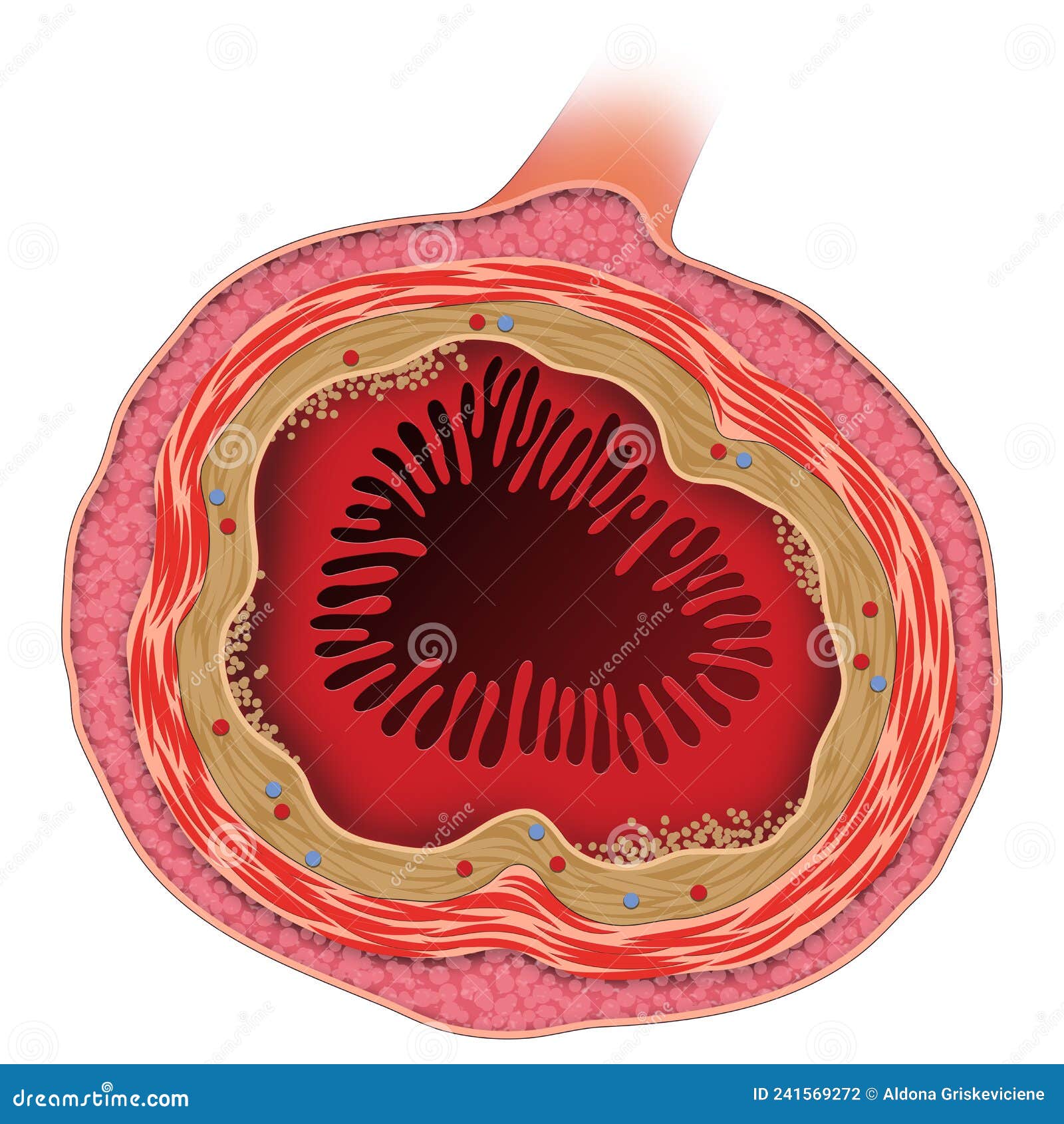 Mucus Lining Photos - Free & Royalty-Free Stock Photos from Dreamstime