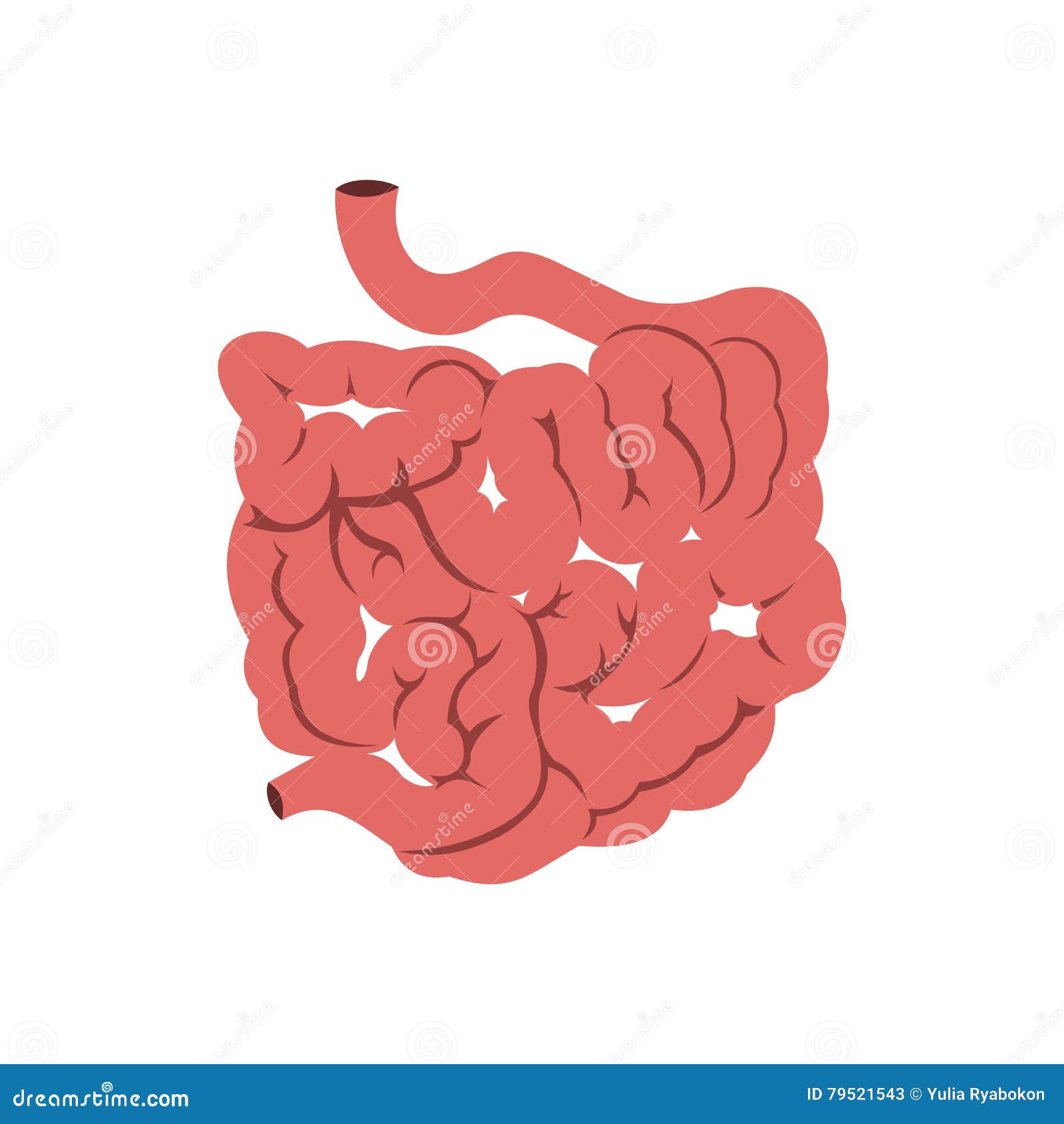 Small intestine icon stock vector. Illustration of clipart - 79521543