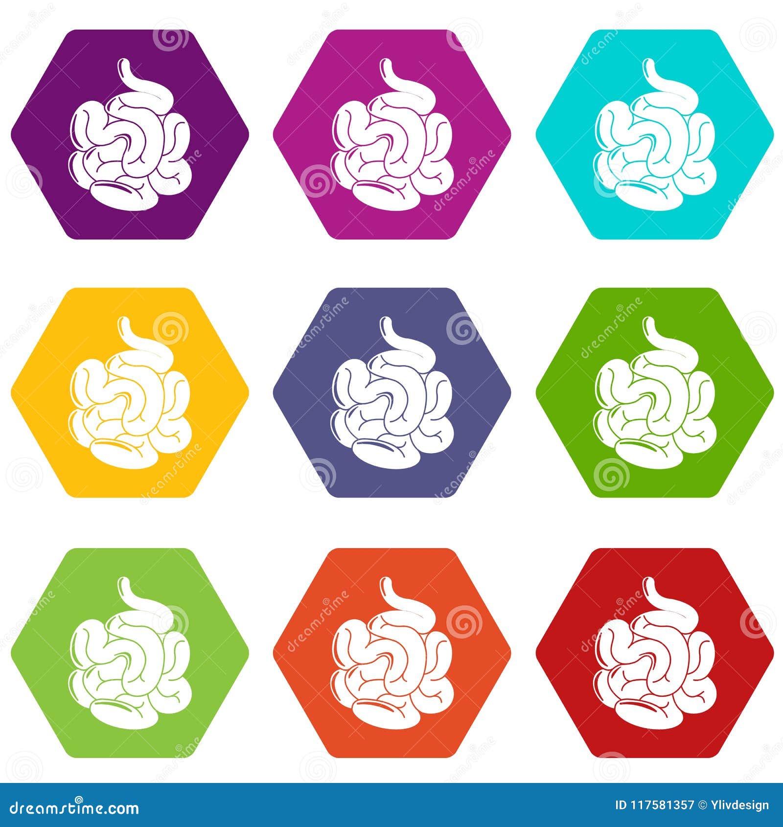 Small Intestine Icons Set 9 Vector Stock Vector - Illustration of ...
