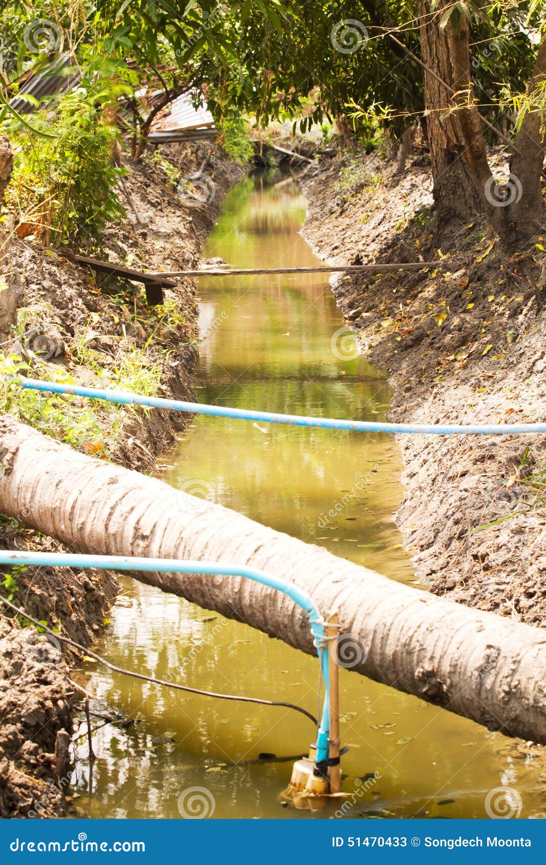 Small irrigation canal stock image. Image of rich, small - 51470433