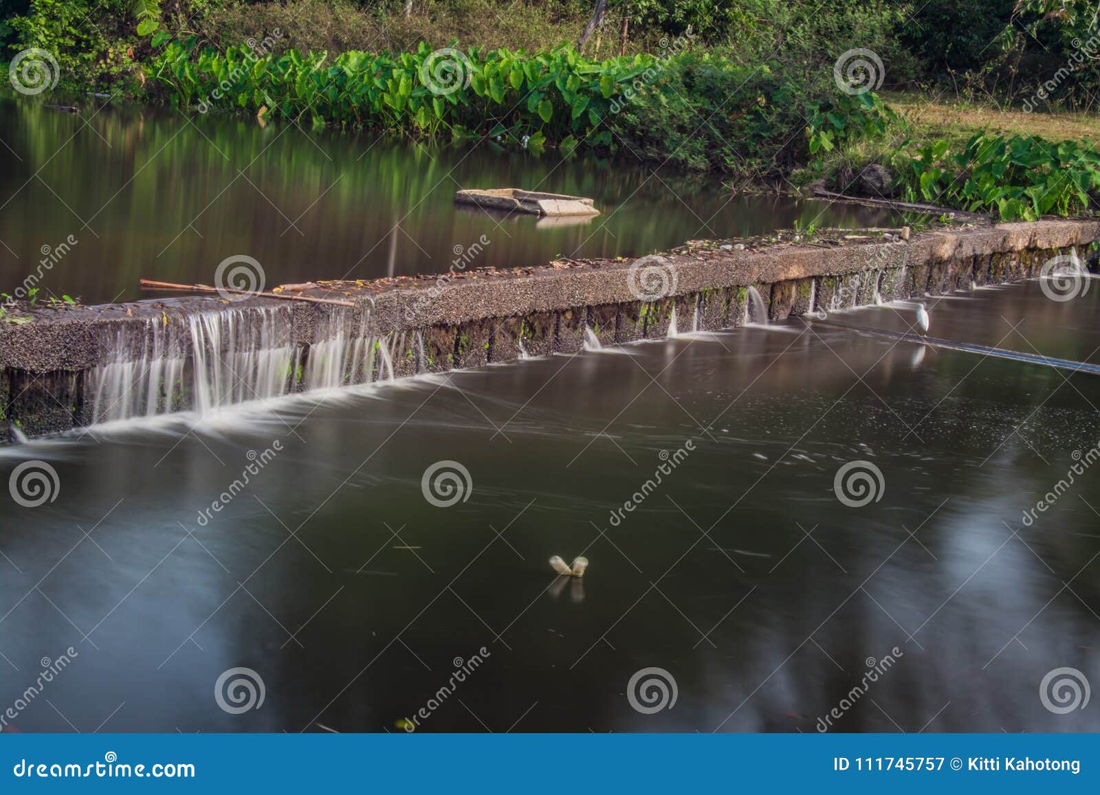 Small Irrigation Dam with Water Flowing Stock Image - Image of rapids ...