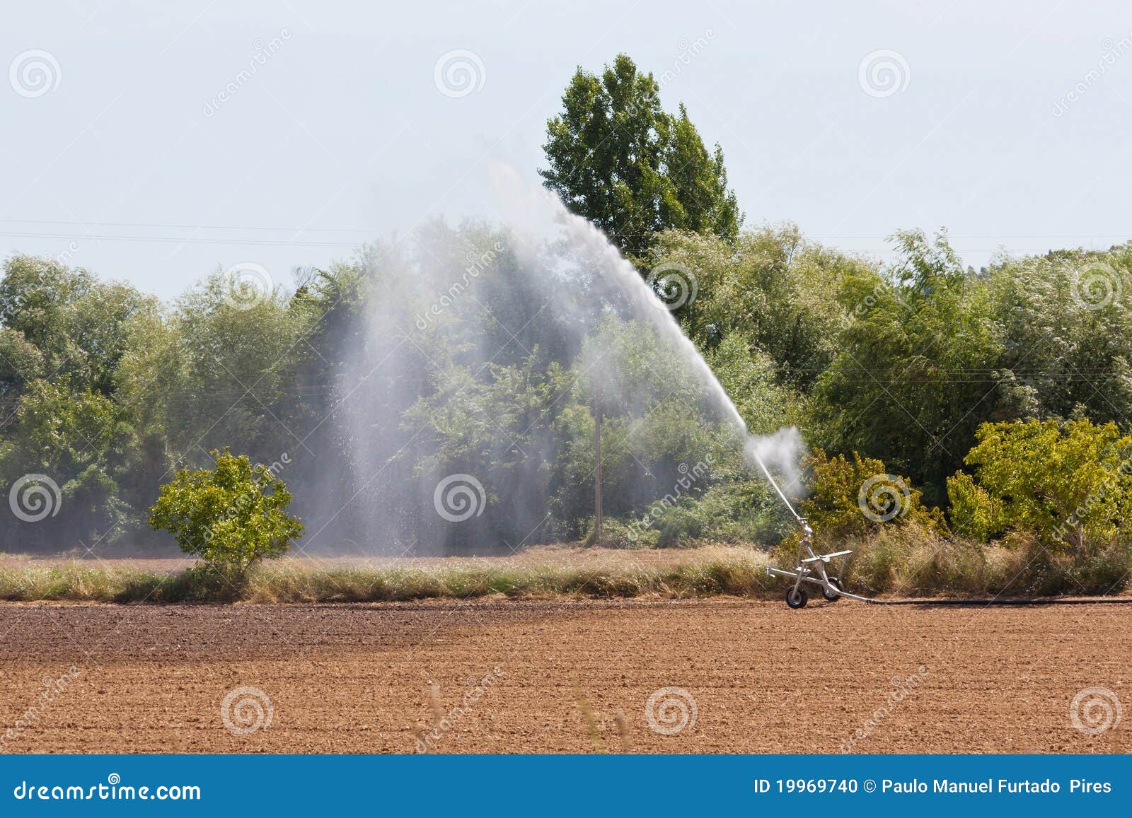 Small Irrigation Equipment on a Plantation. Stock Photo - Image of ...