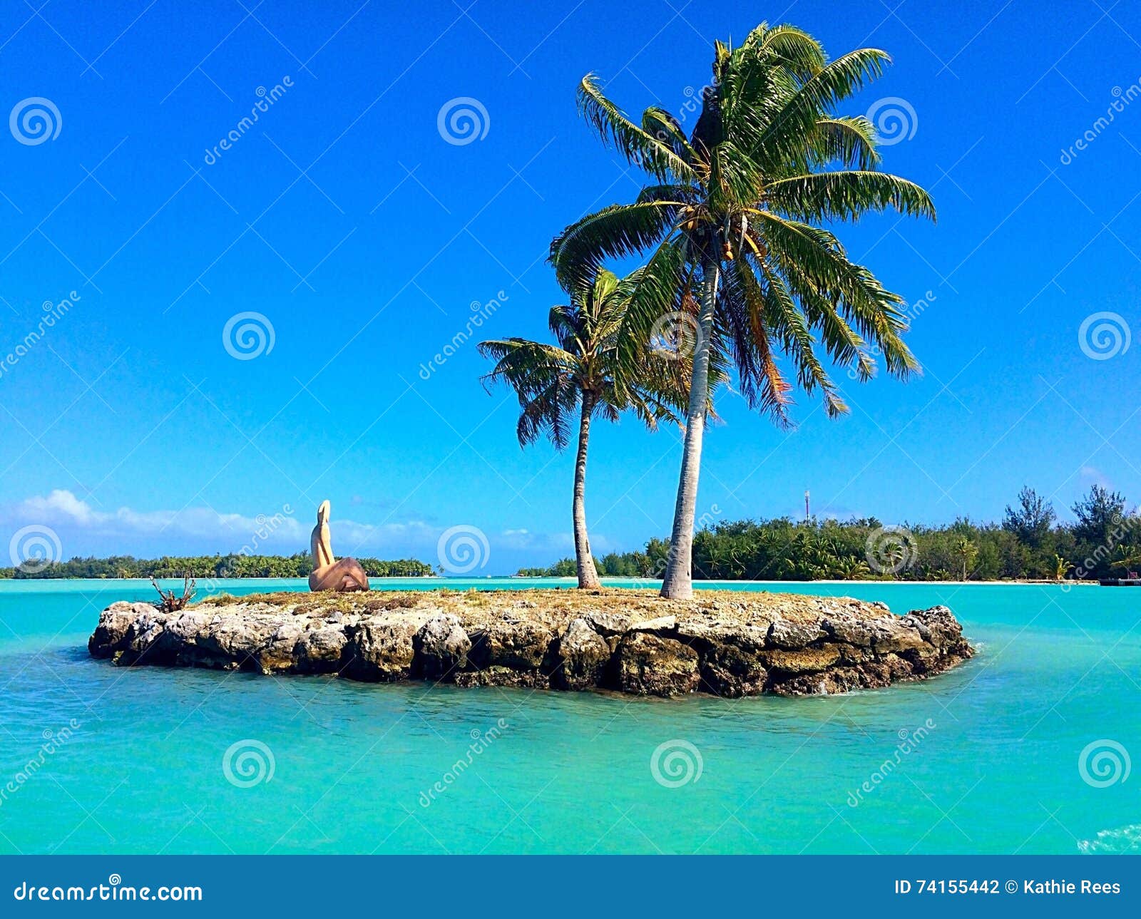 Small Island in Bora Bora editorial photography. Image of blue - 74155442