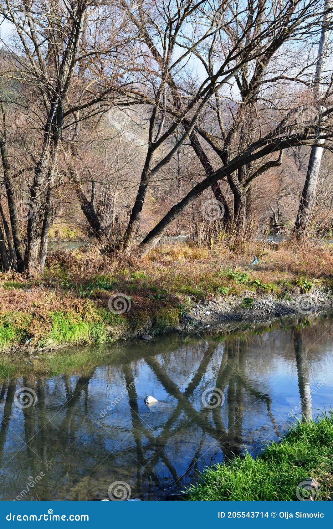 Small island in the river stock photo. Image of river - 205543714