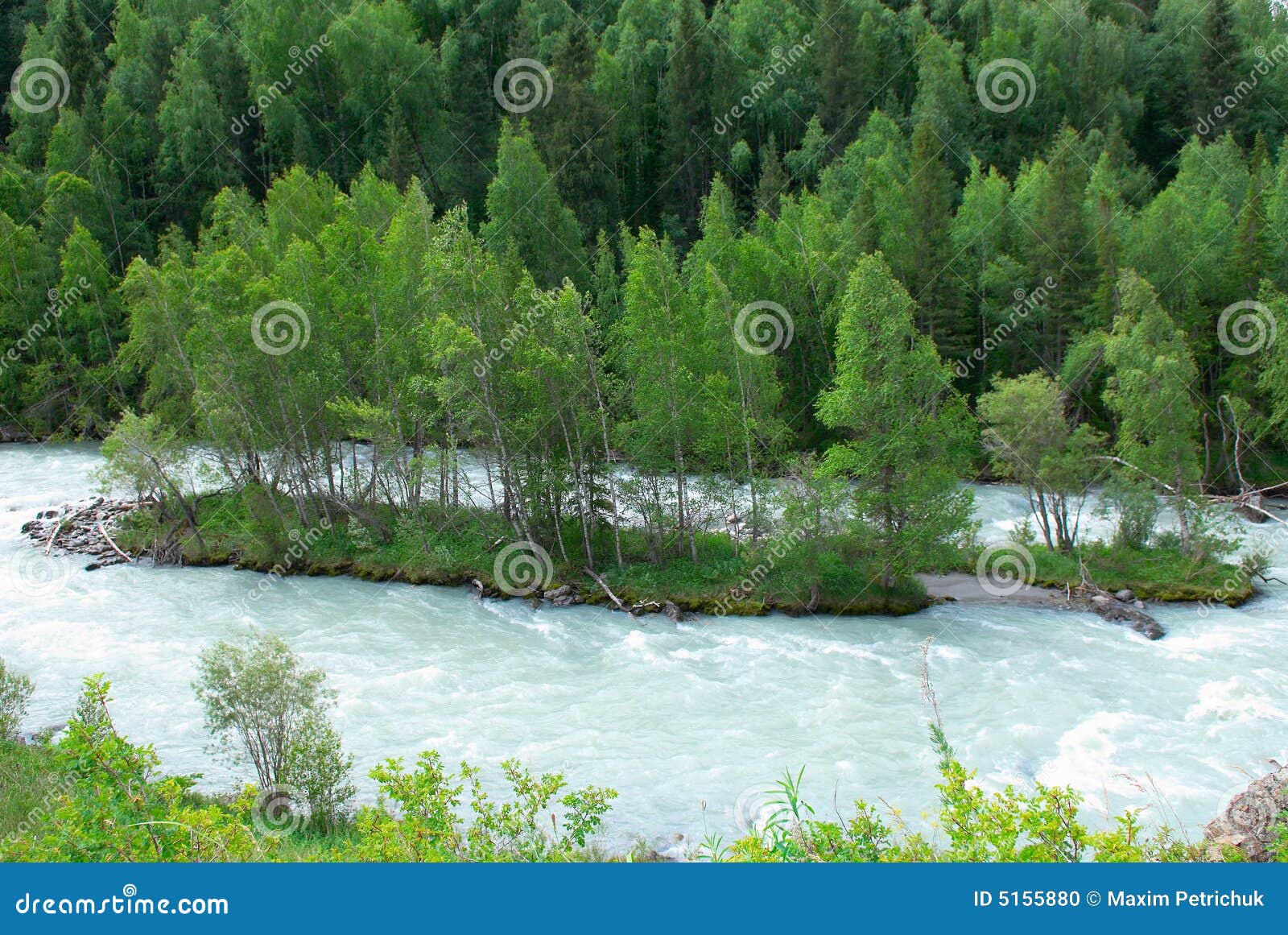 Small island on river stock photo. Image of snag, valley - 5155880