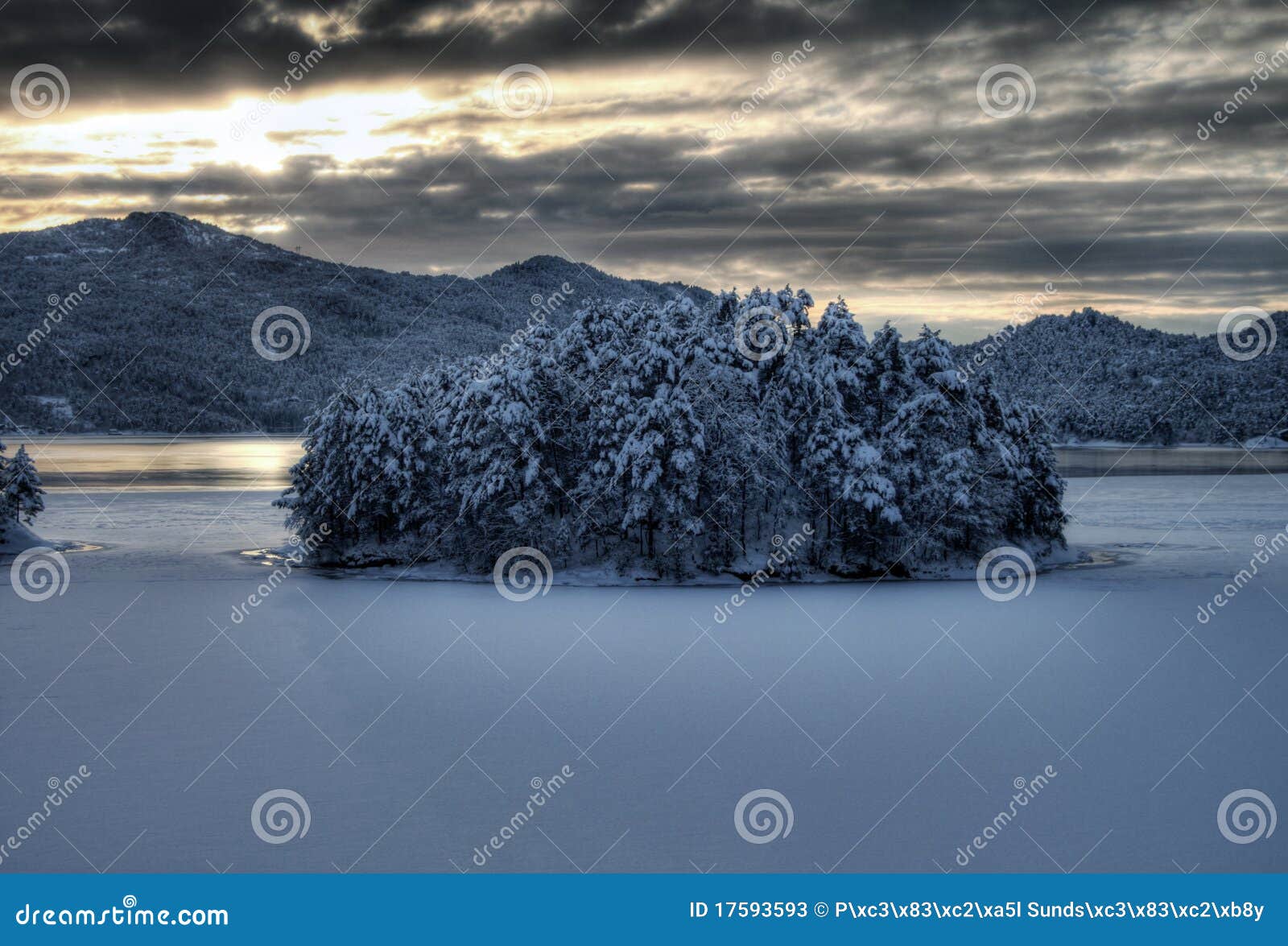 Small Island in Snowy Norway Stock Image - Image of trees, hardanger ...