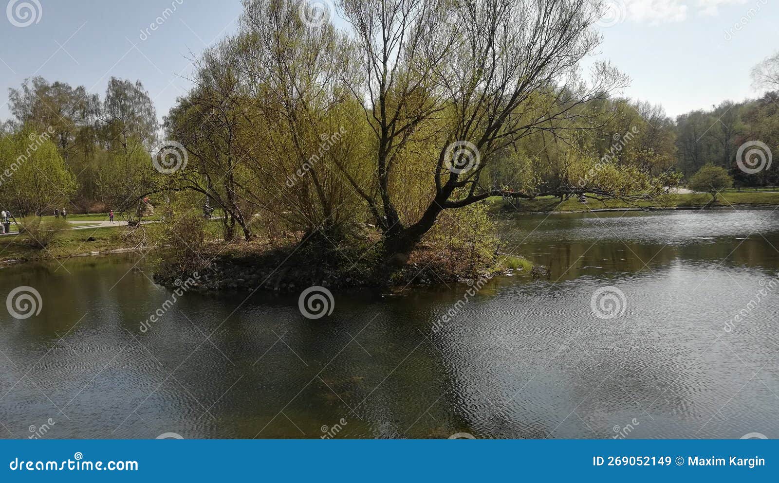 A Small Island with a Tree in the Middle of the Lake in the Park in ...
