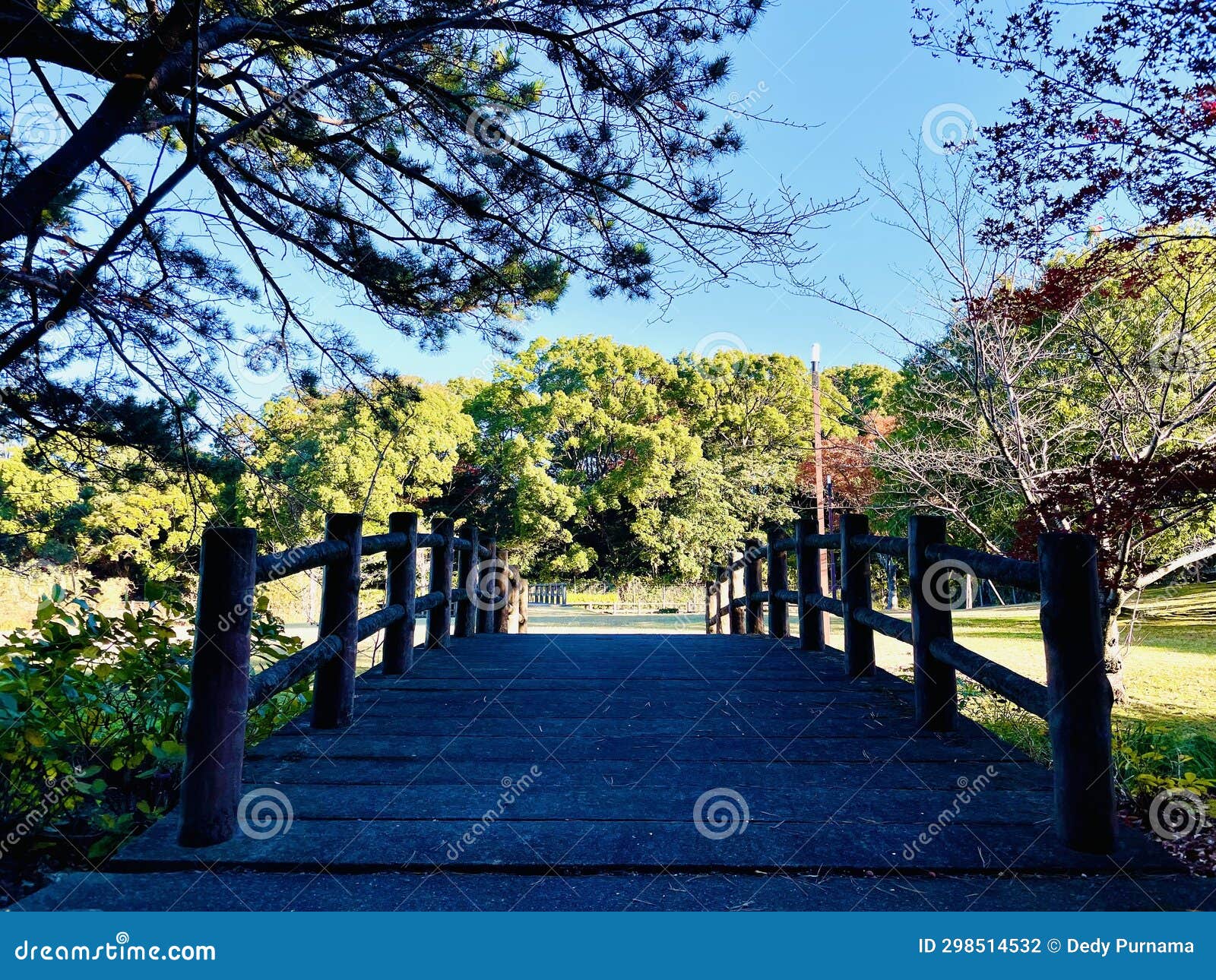 Wood bridge stock photo. Image of black, fall, forest - 298514532