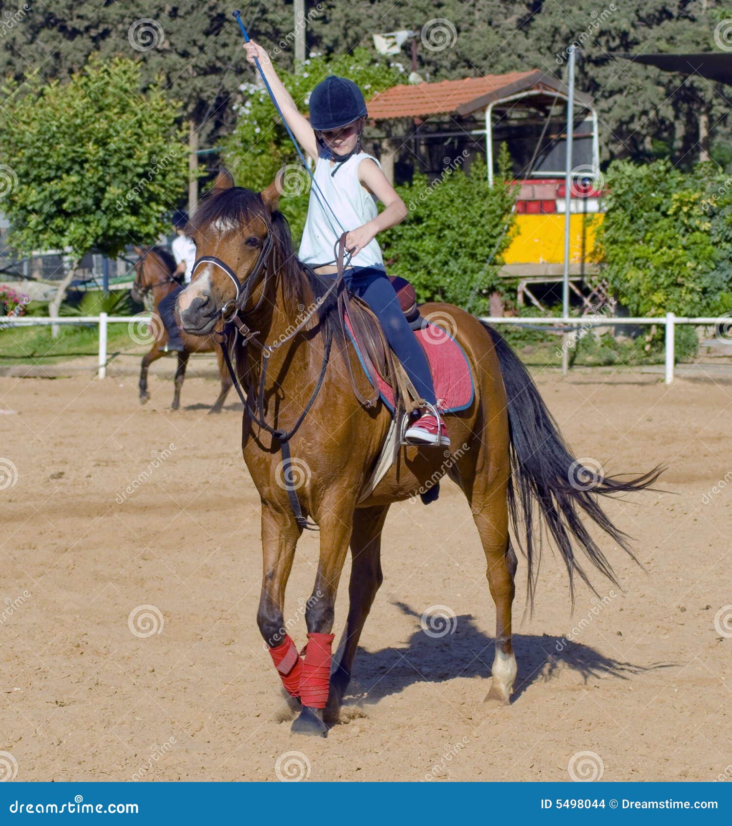 Small jockey stock photo. Image of ranch, farm, cheerful - 5498044