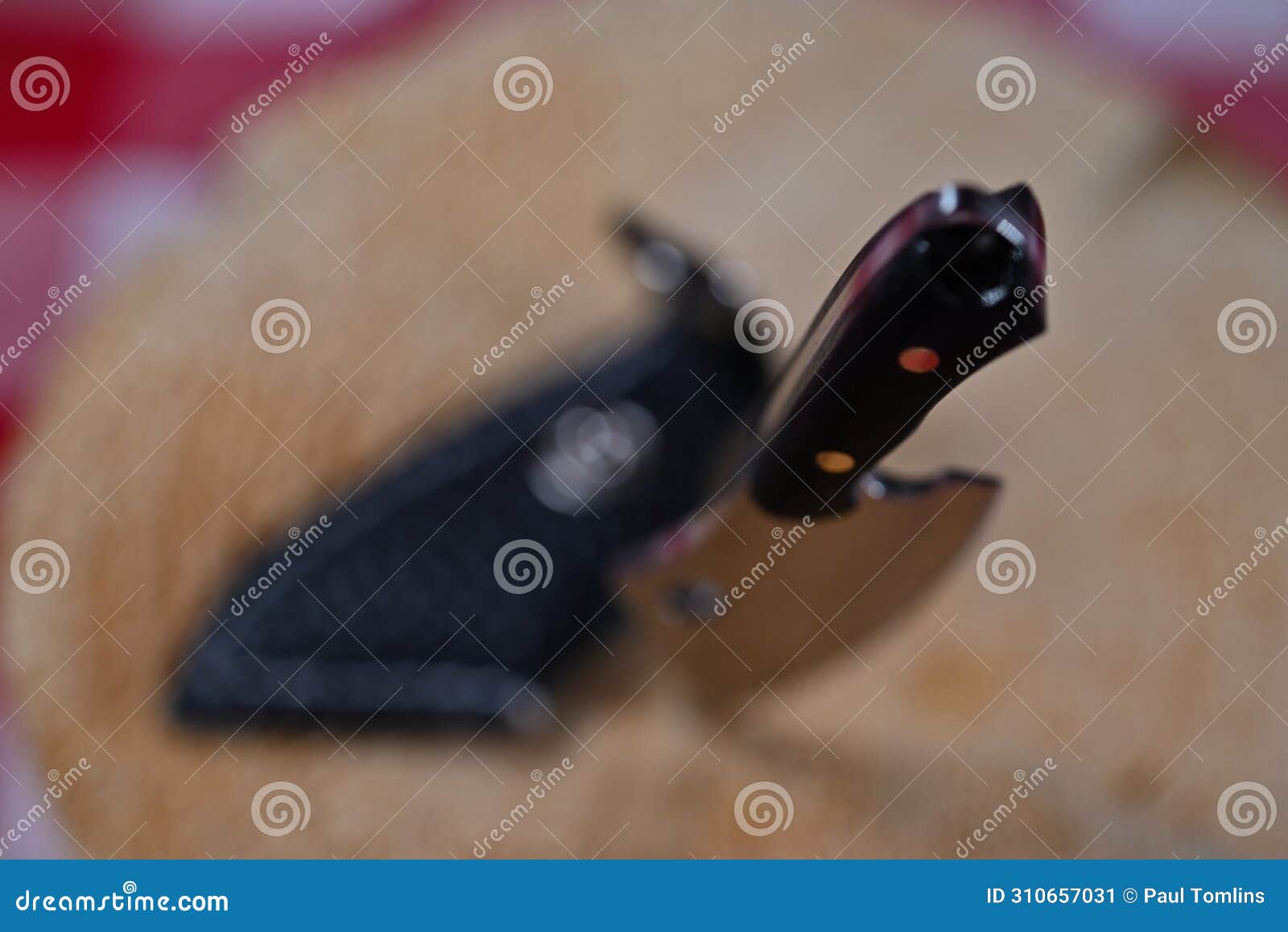 Small kitchen knife stock image. Image of kitchen, table - 310657031