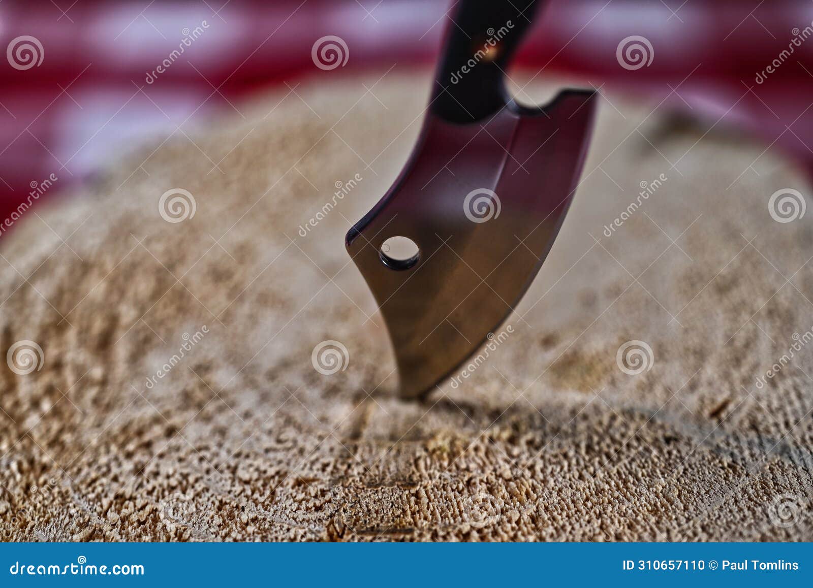 Small kitchen knife stock photo. Image of organ, knife - 310657110