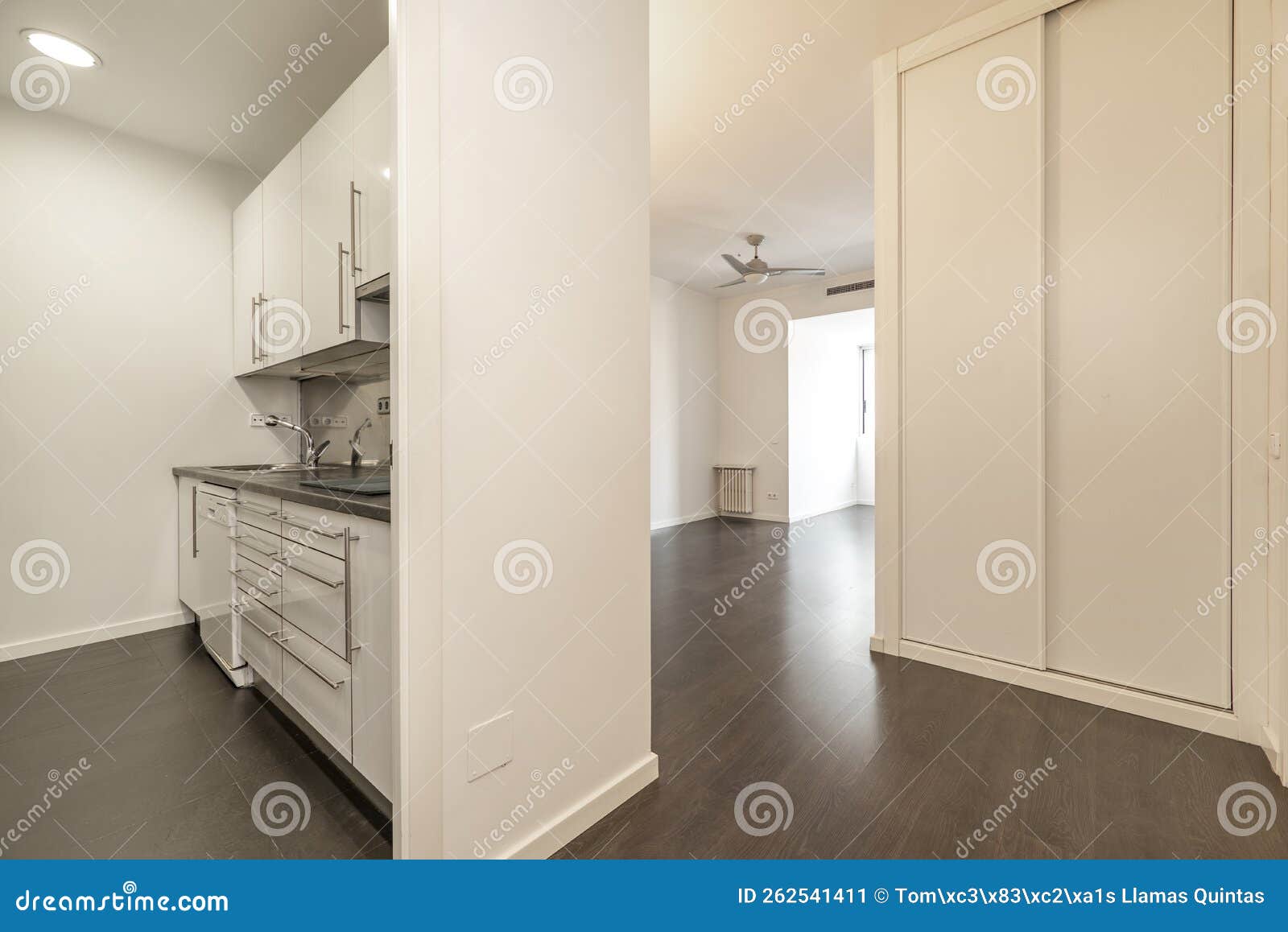 Small Kitchen of a Studio Apartment with Dark Floors and White Built-in ...