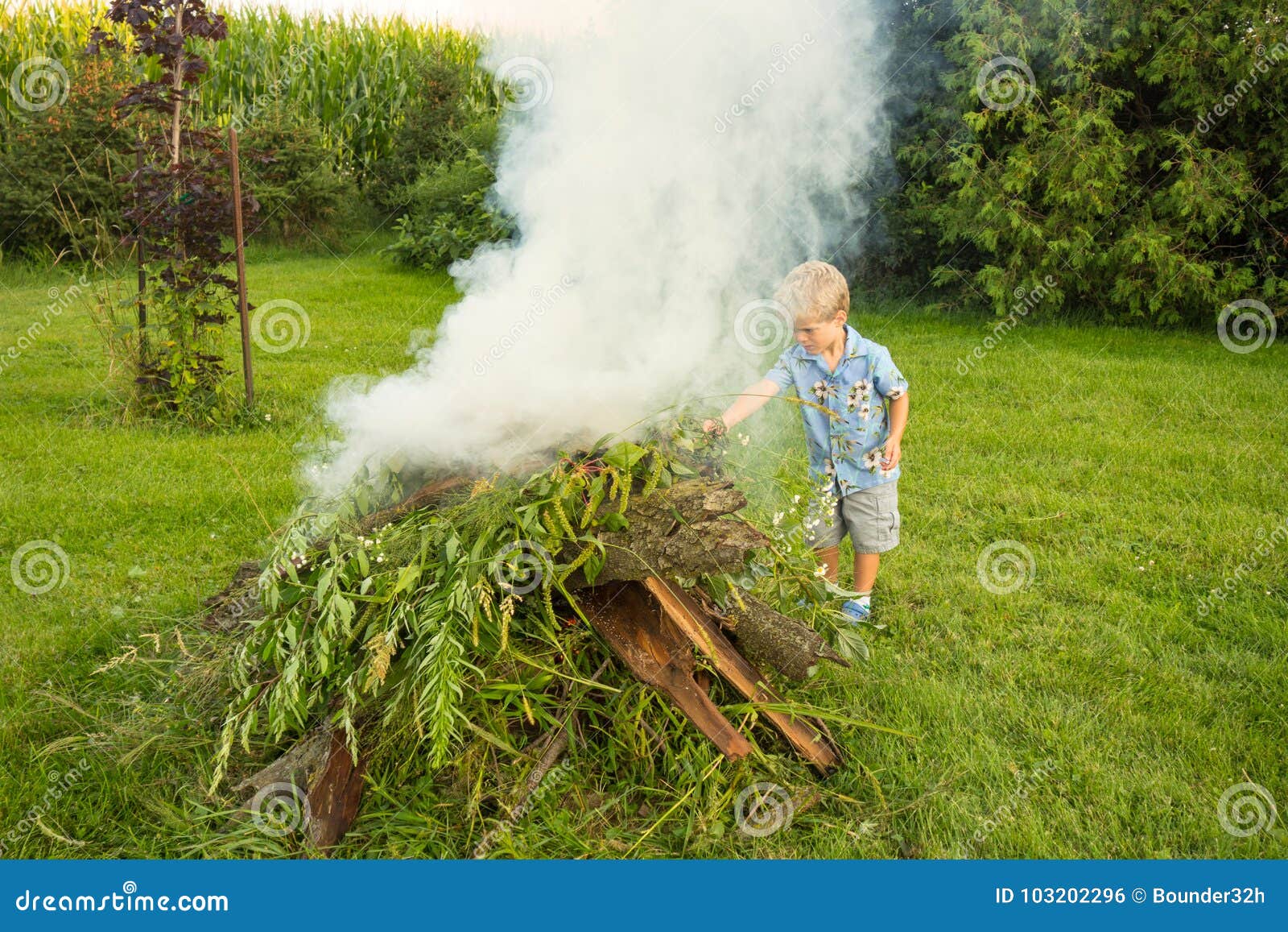 A Young Boy Building a Bonfire Stock Photo - Image of burning, garden ...
