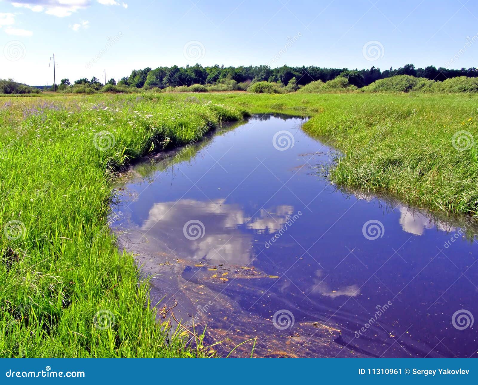 Small lake stock image. Image of outdoors, park, blue - 11310961