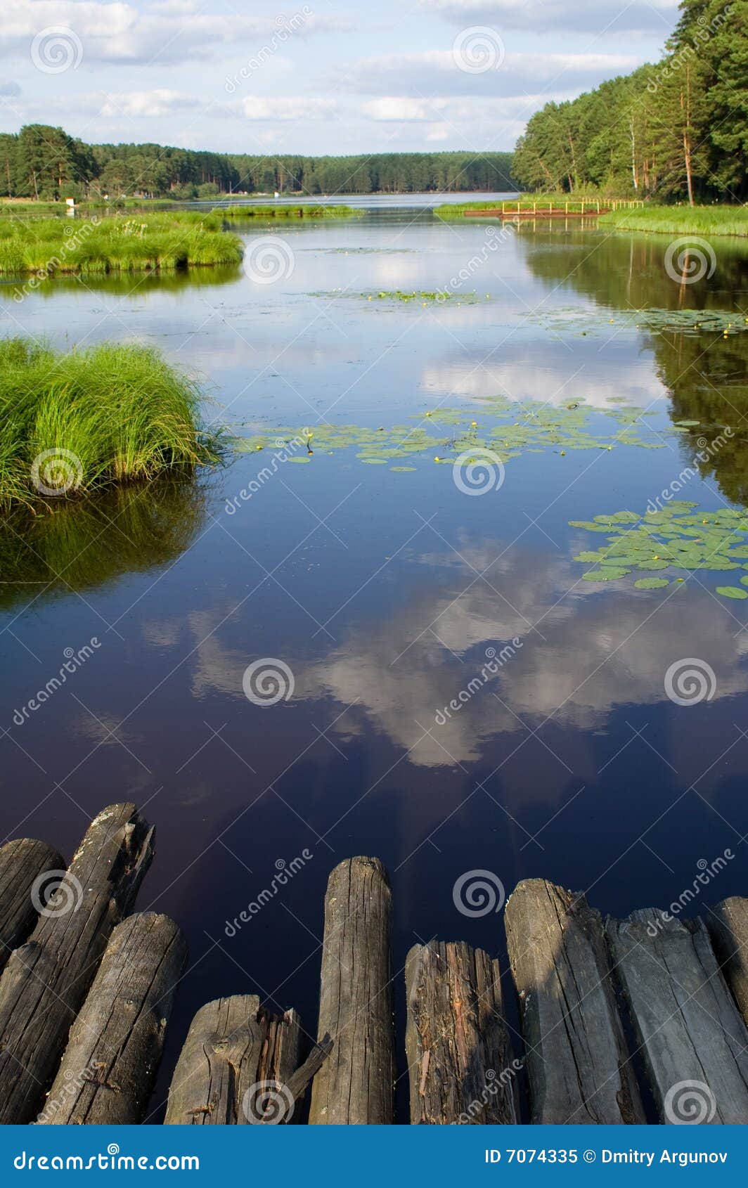Small lake stock image. Image of lush, park, flowing, bridge - 7074335