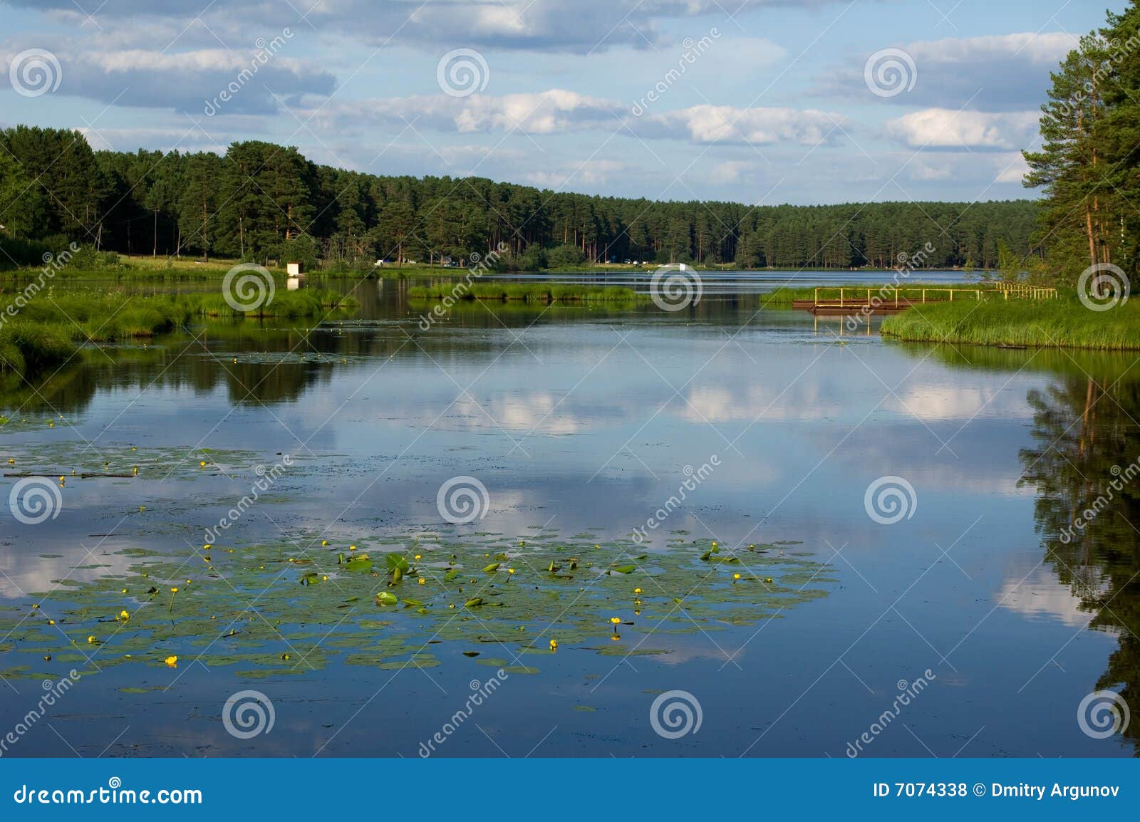 Small lake stock photo. Image of morass, outdoors, park - 7074338
