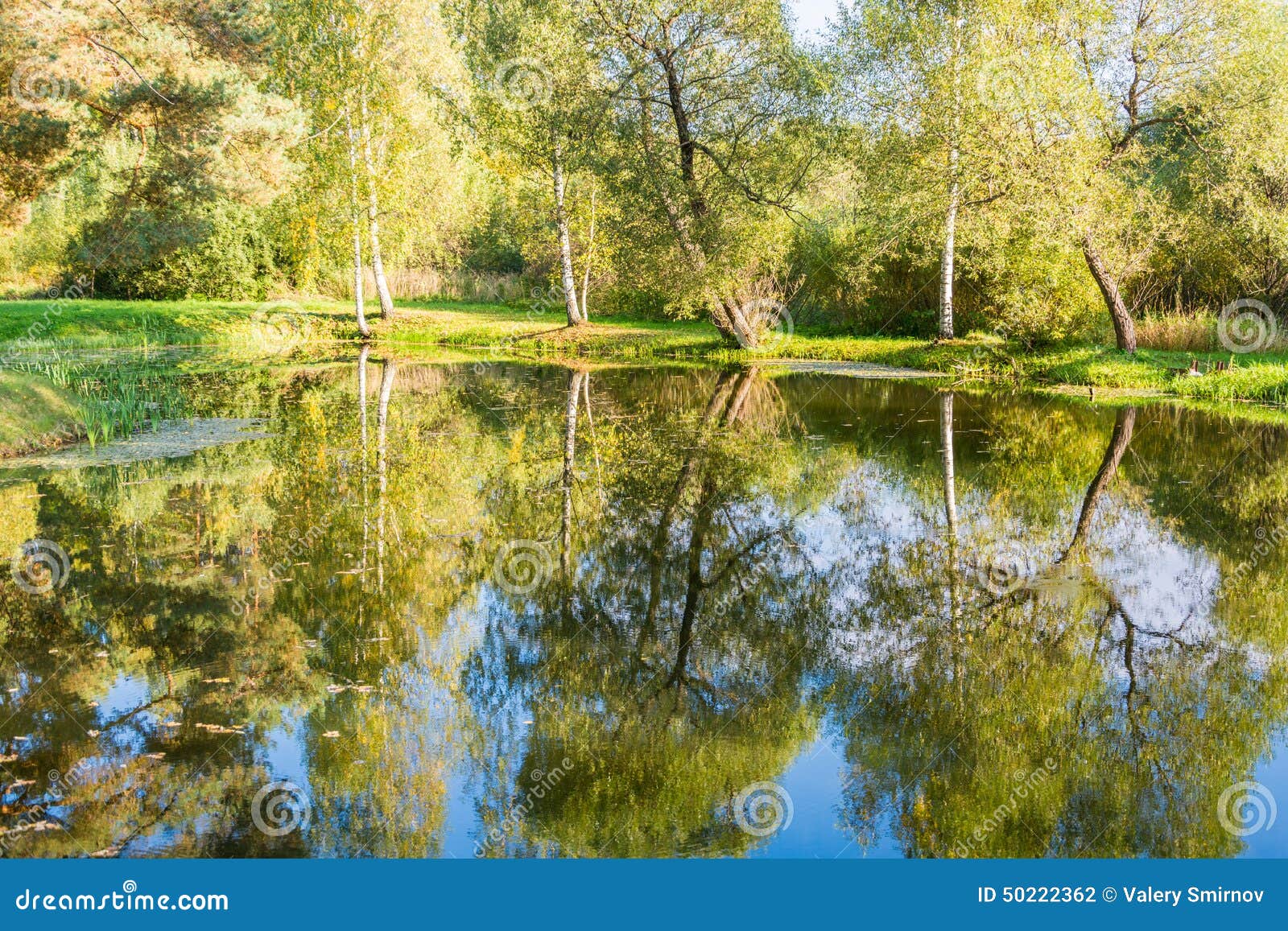 A small lake in autumn day stock photo. Image of landscape - 50222362