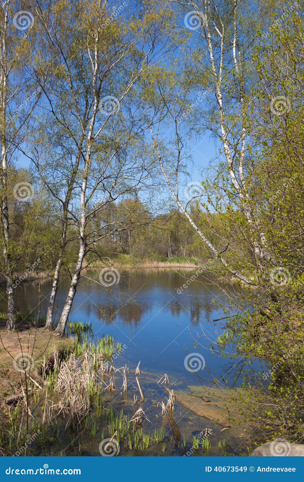 Small lake in early spring stock image. Image of destinations - 40673549