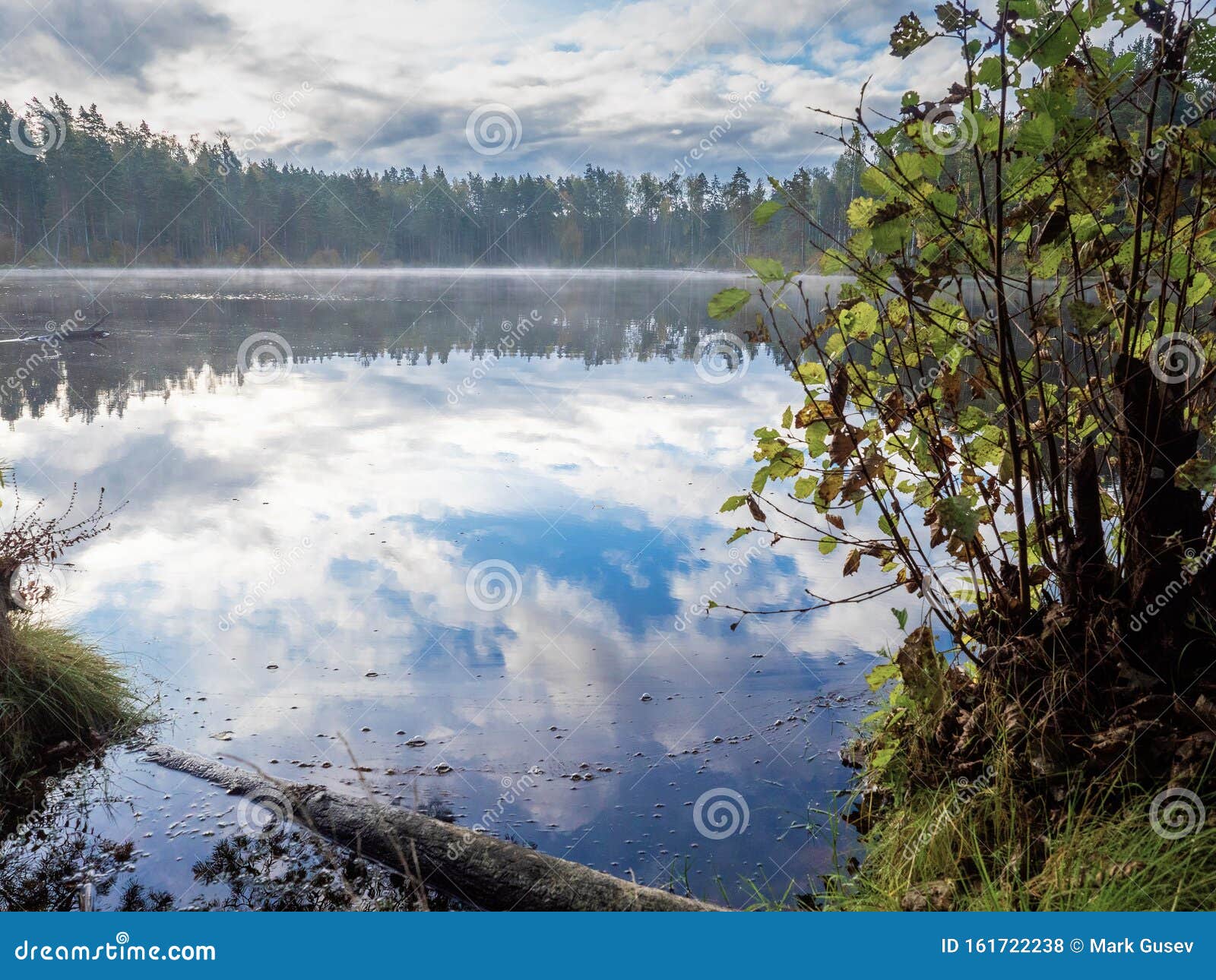Small Lake in a Forest, Morning Time, Light Mist Over Water Surface ...