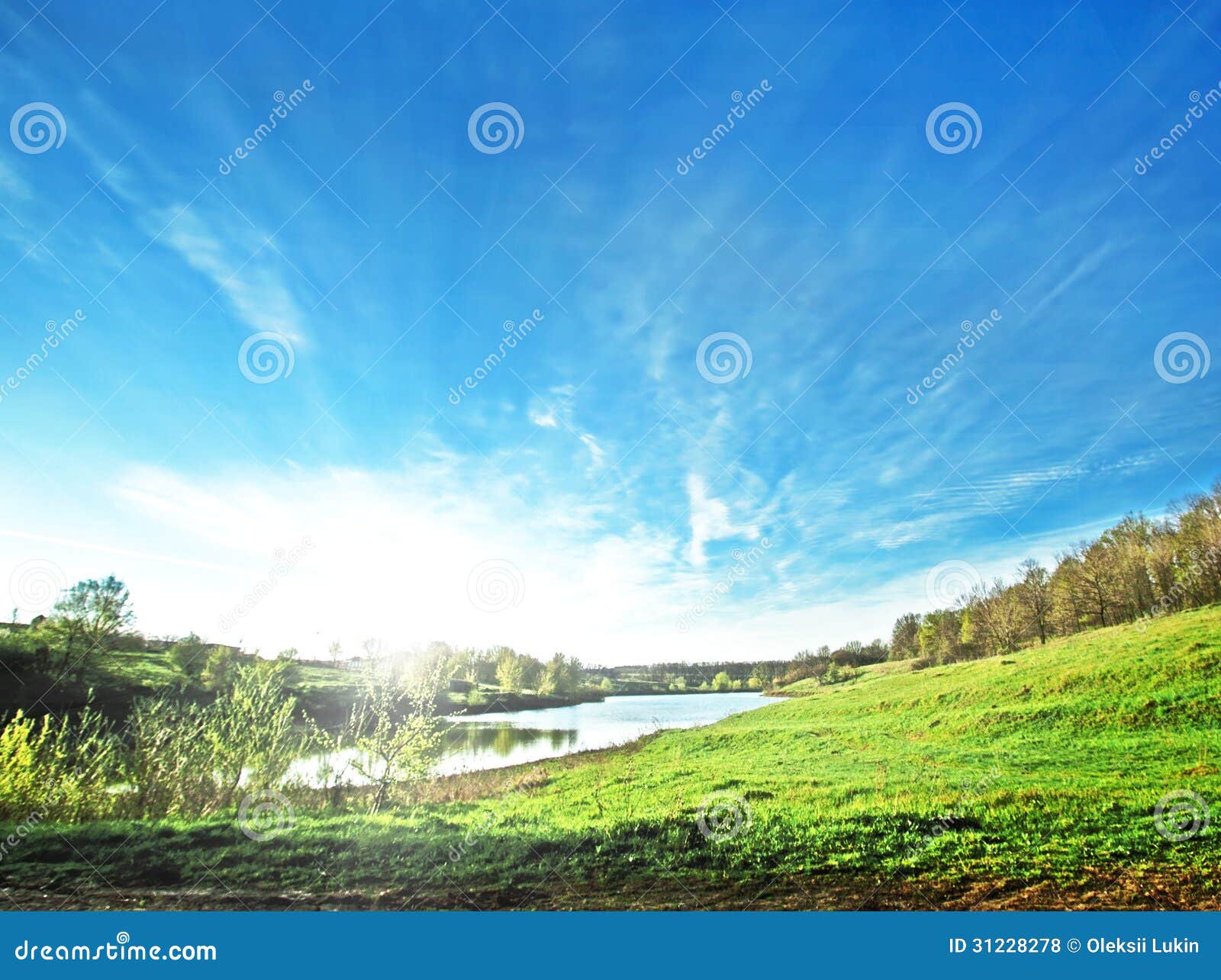 Small Lake in a Green Field Stock Photo - Image of landscape, trees ...