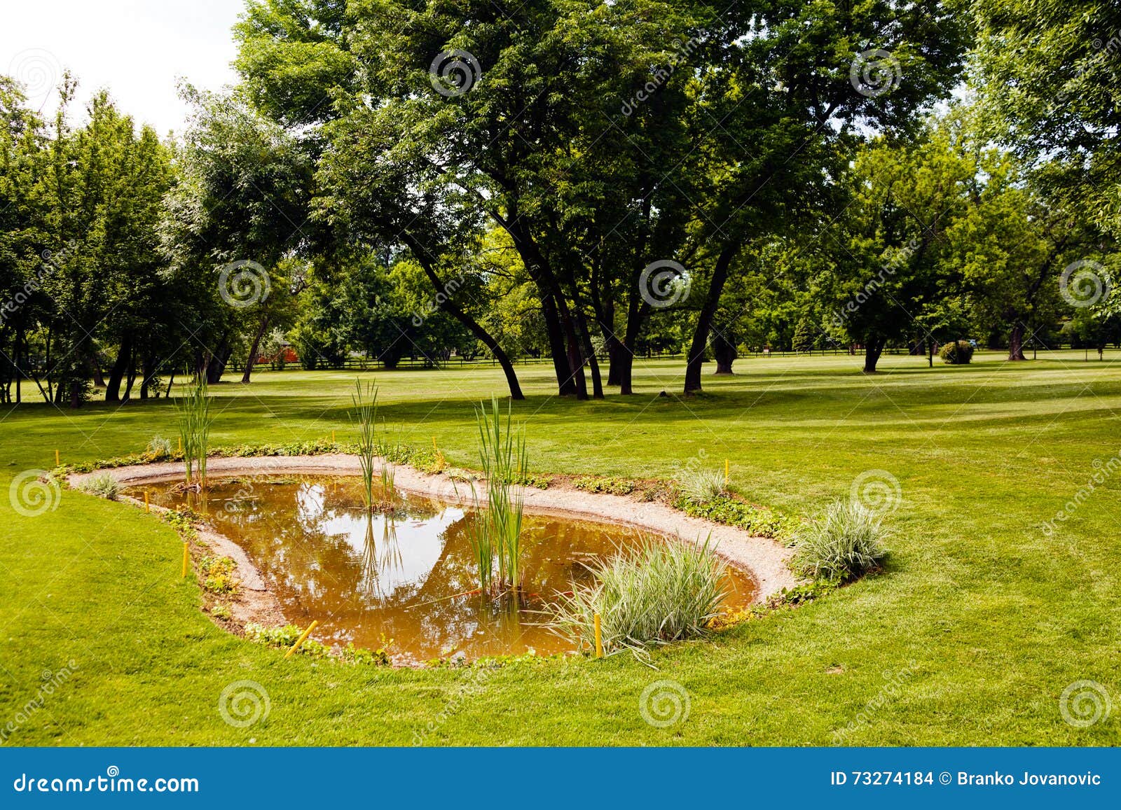 Small lake in the park stock photo. Image of beauty, tourism - 73274184