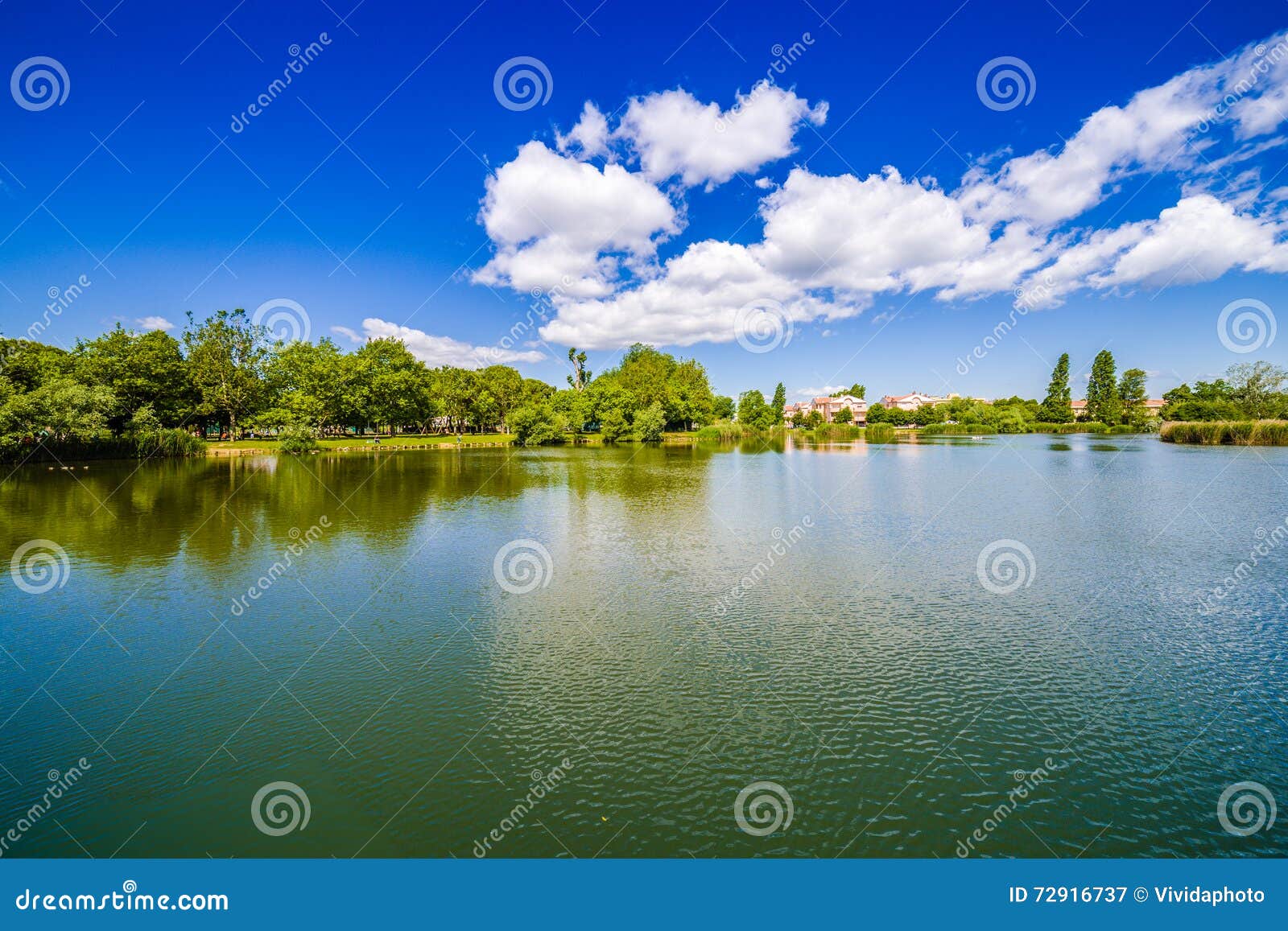 Small lake stock image. Image of peace, nature, houses - 72916737