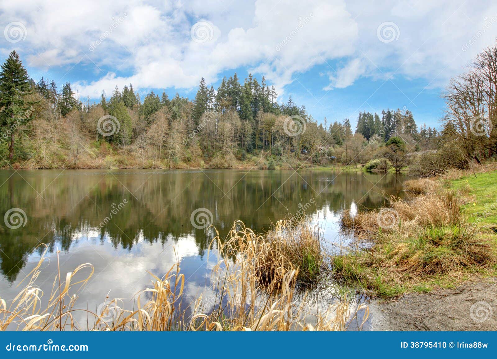 Small Lake Rasmussen, Duval. WA State Stock Photo - Image of nature ...
