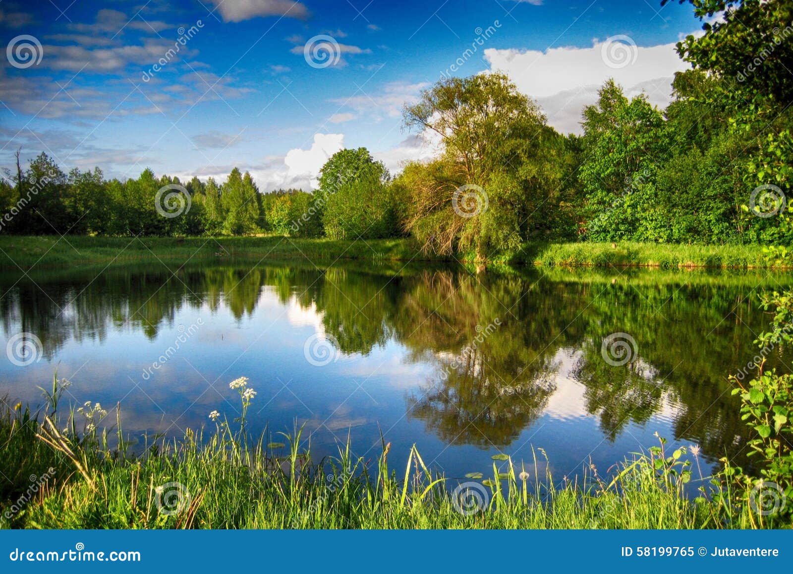 Small lake stock image. Image of clouds, summer, small - 58199765