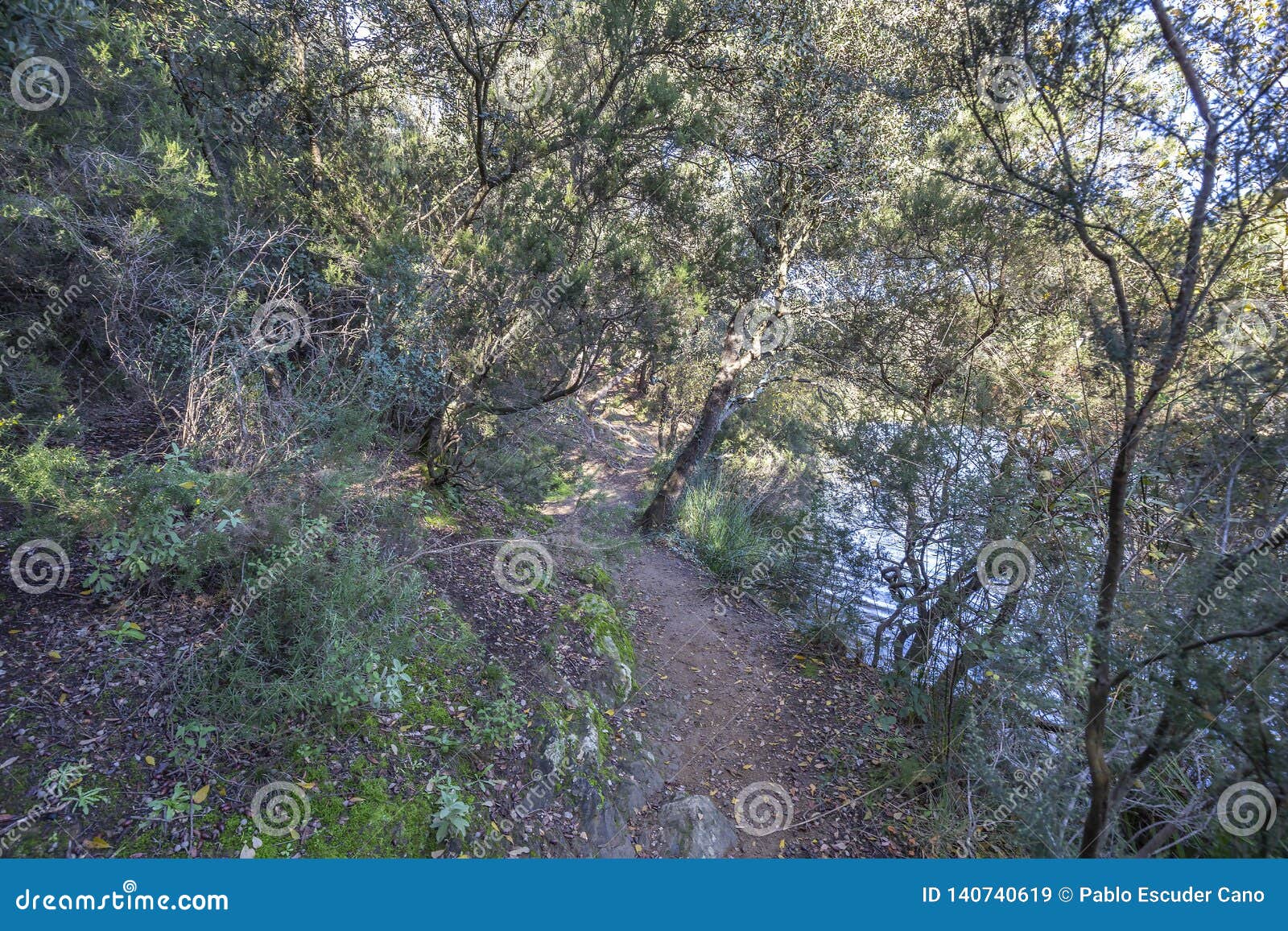 Small Lake in Terrassa, Barcelona Stock Image - Image of landscape ...